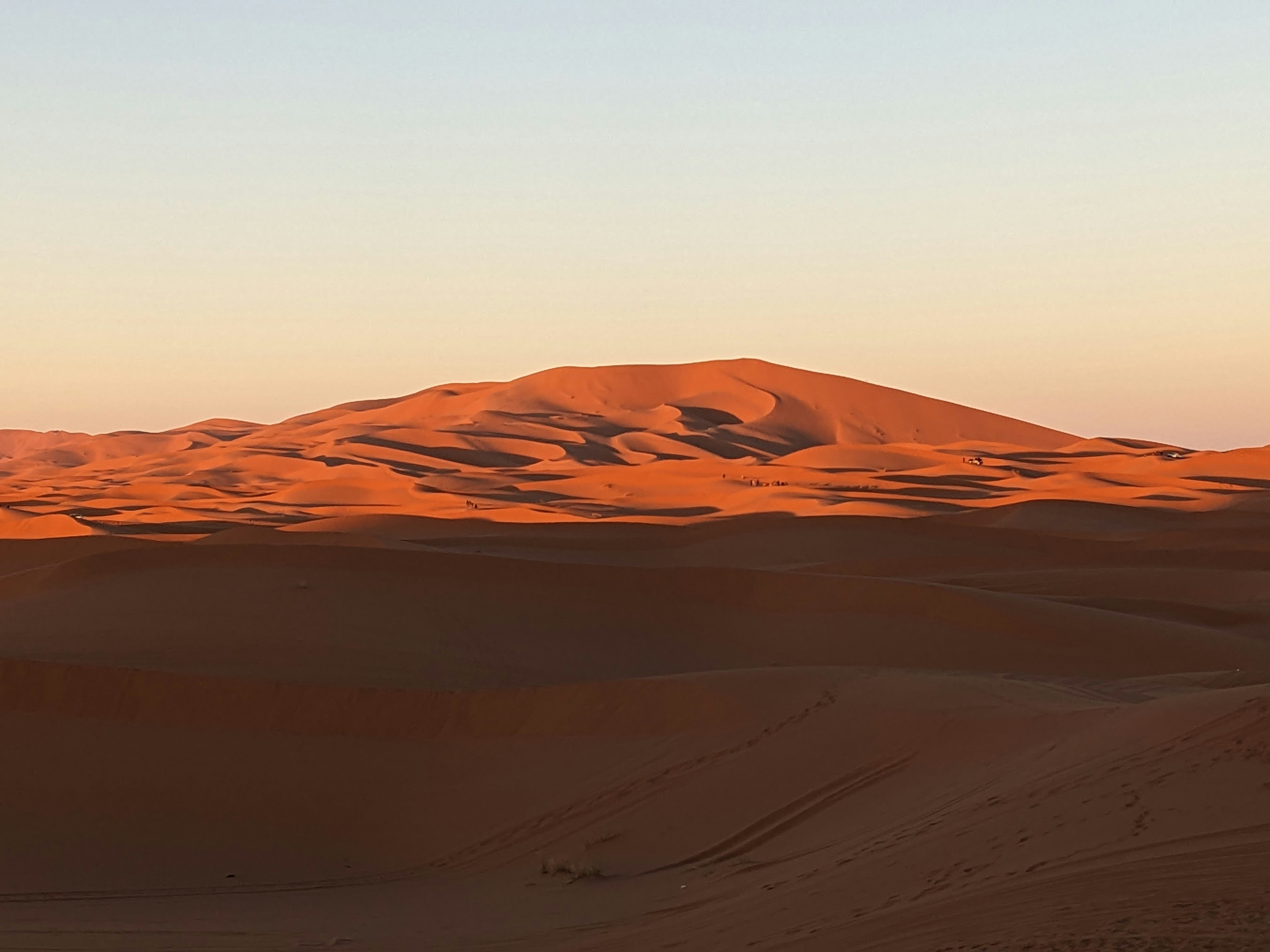 Sand dunes bathed in warm sunlight under a clear sky.