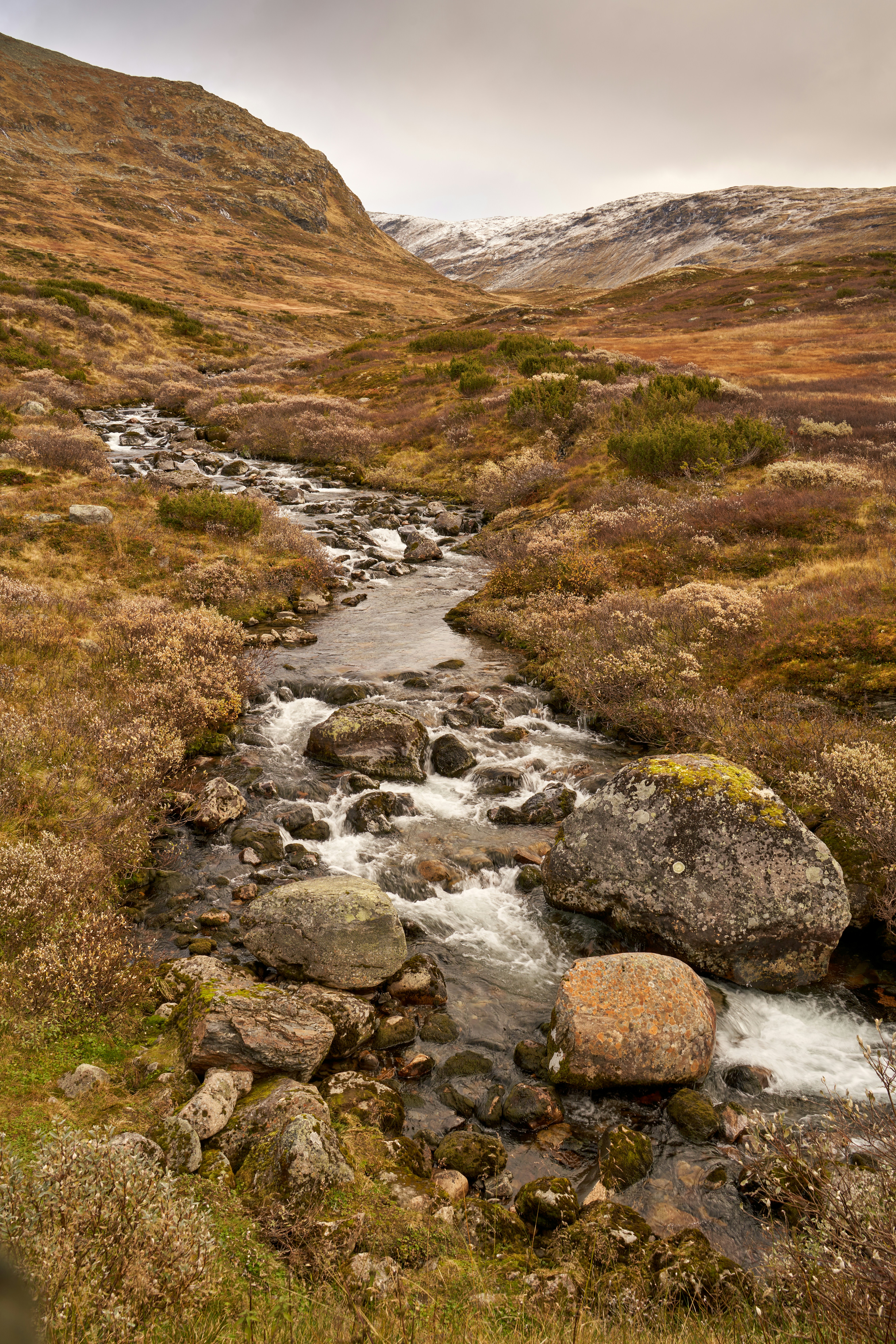 A stream running through a lush green hillside photo – Free Serene ...