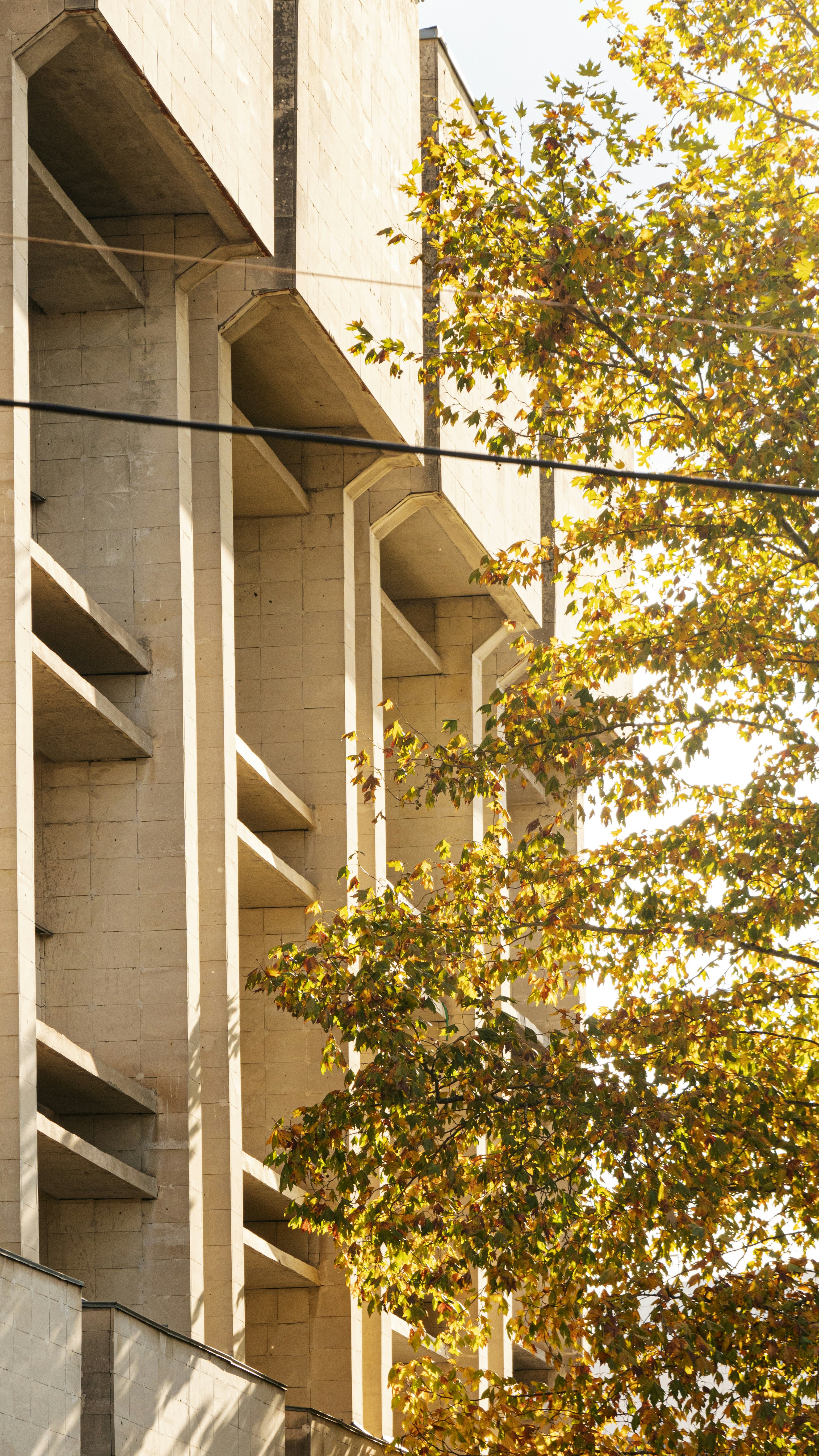 Academy of Construction and Architecture