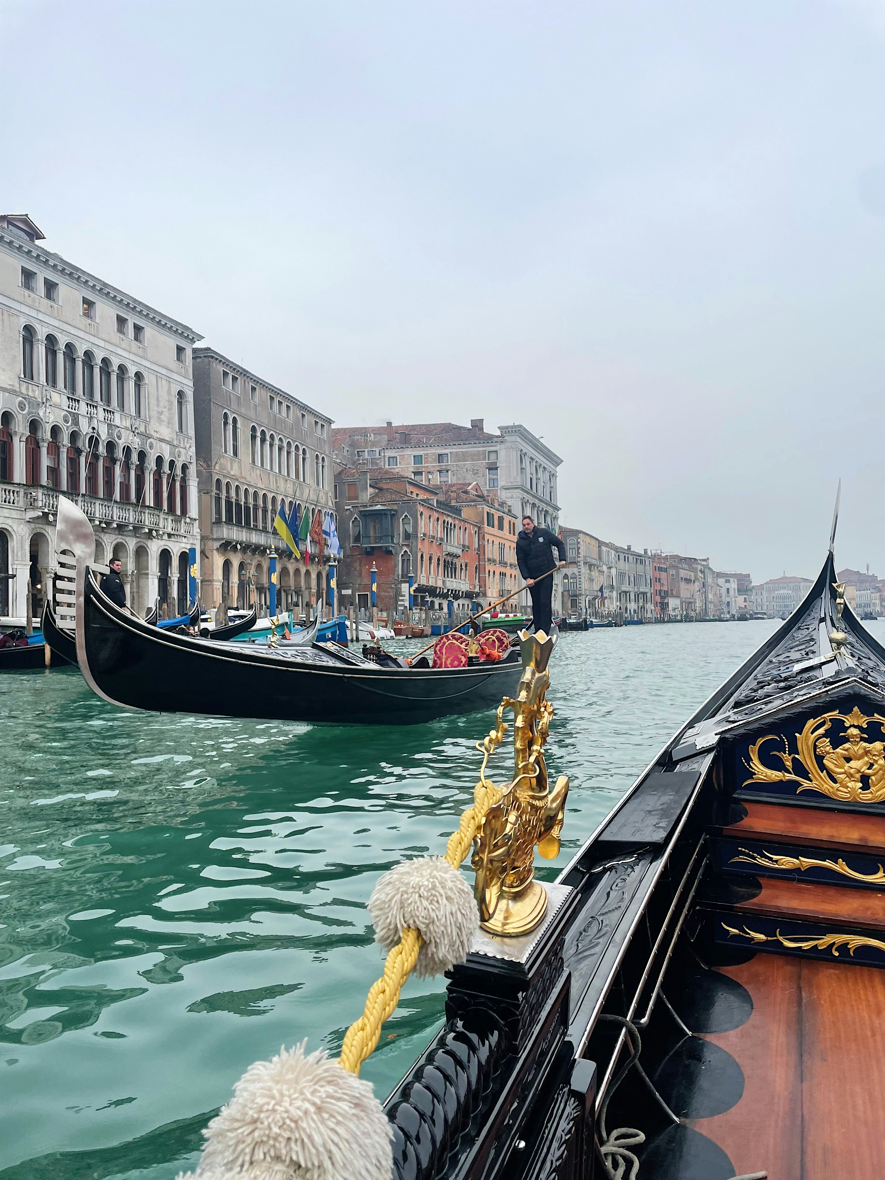 Gilded Crest at the Venetian Canal: A Gondola Portrait