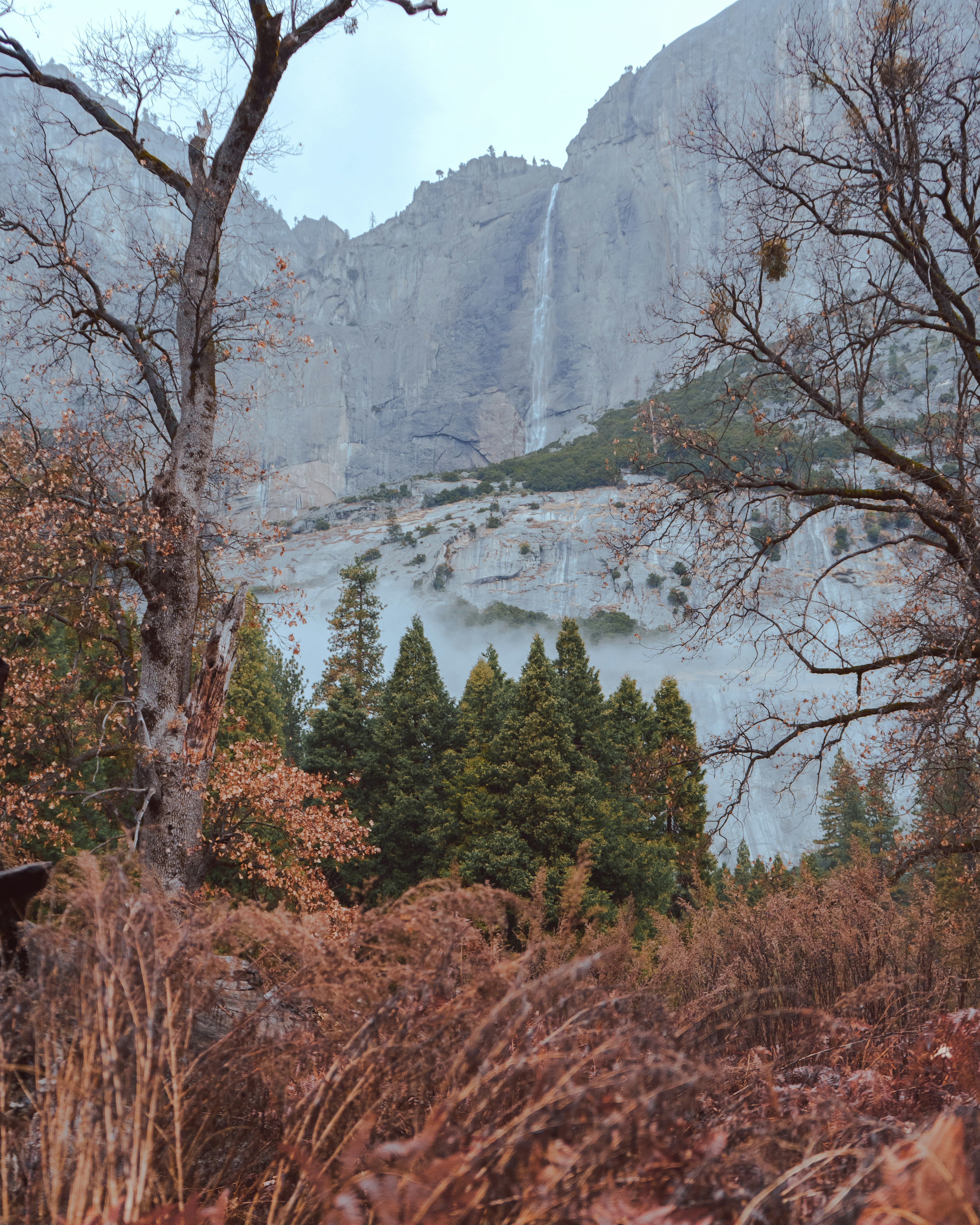 Forest Foothills Beneath a Granite Cascade