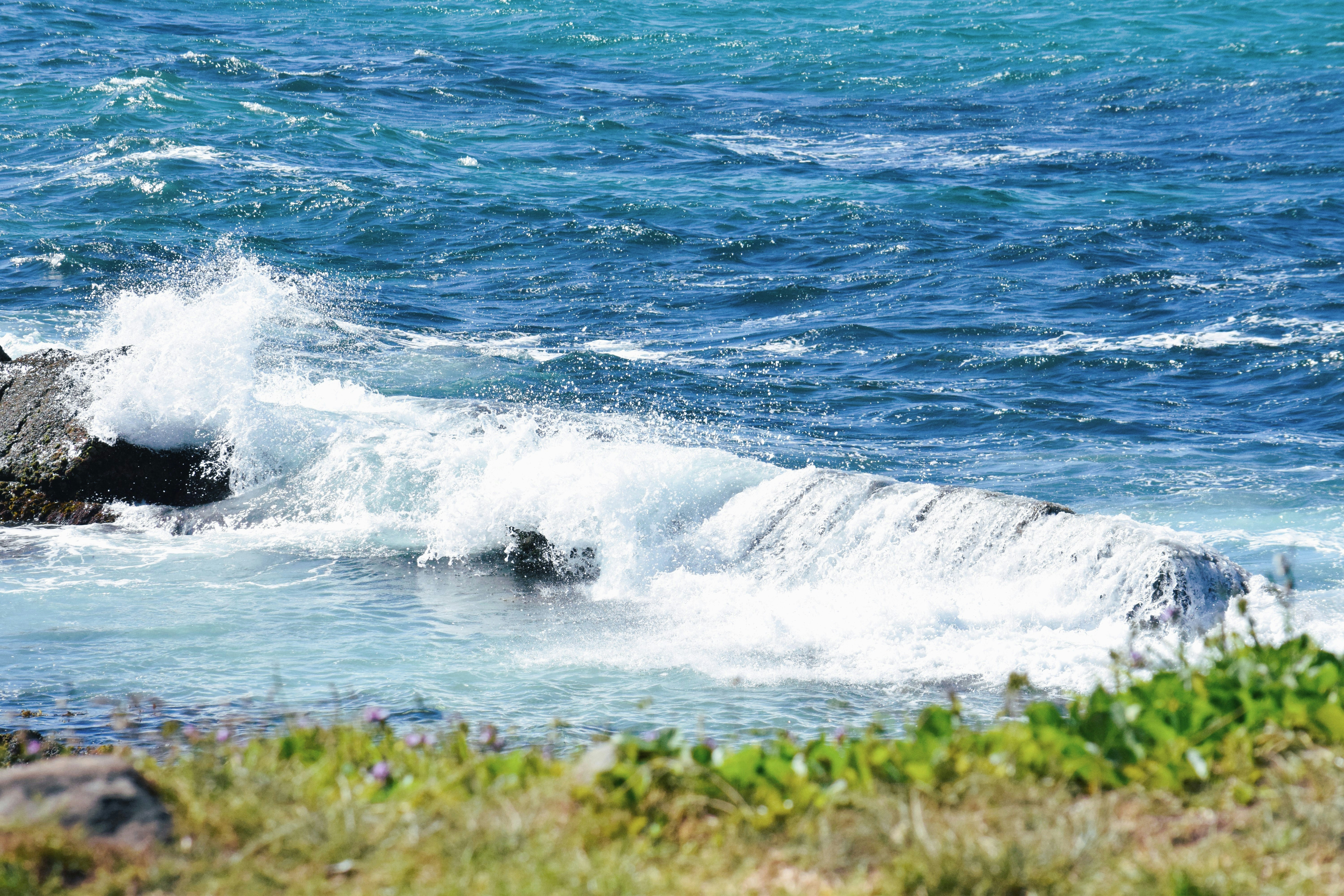 Foam on the Green Edge: A Coastal Moment of Quiet Power