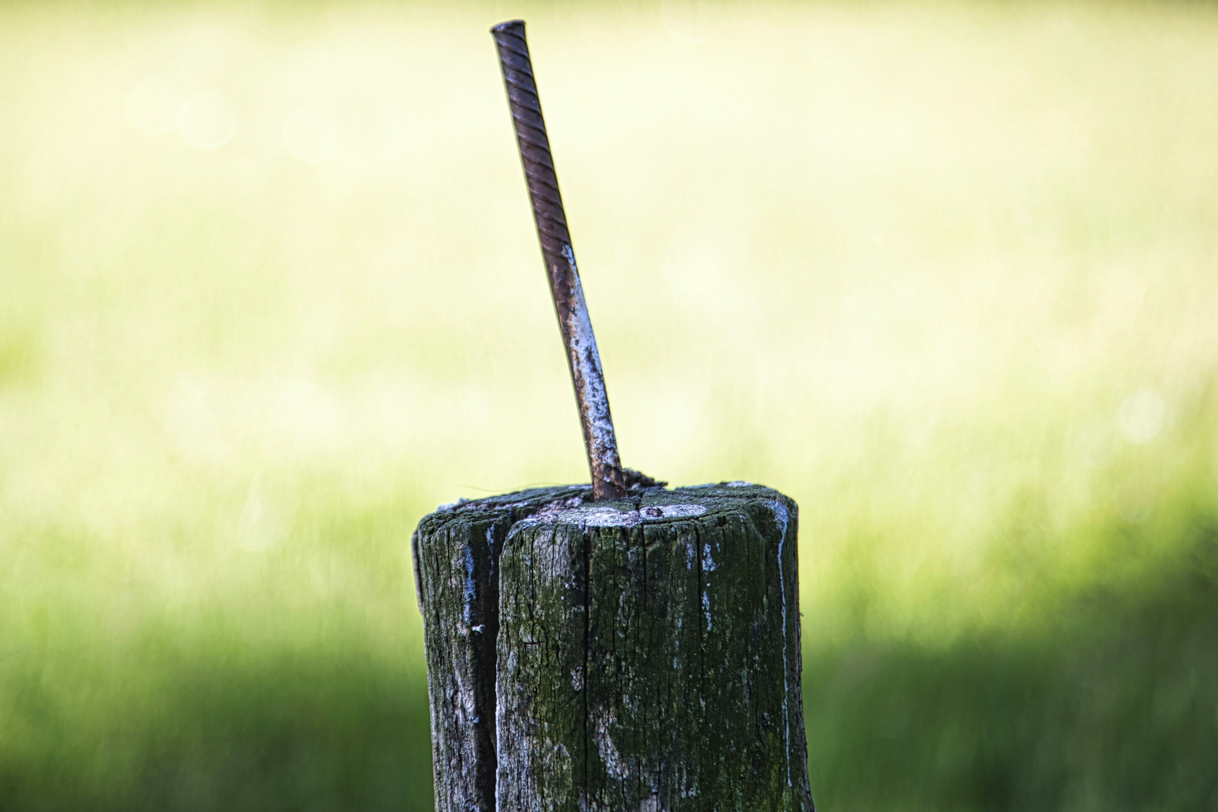 Silhouetted Spike on a Mossy Post: A Quiet Study in Weathered Detail