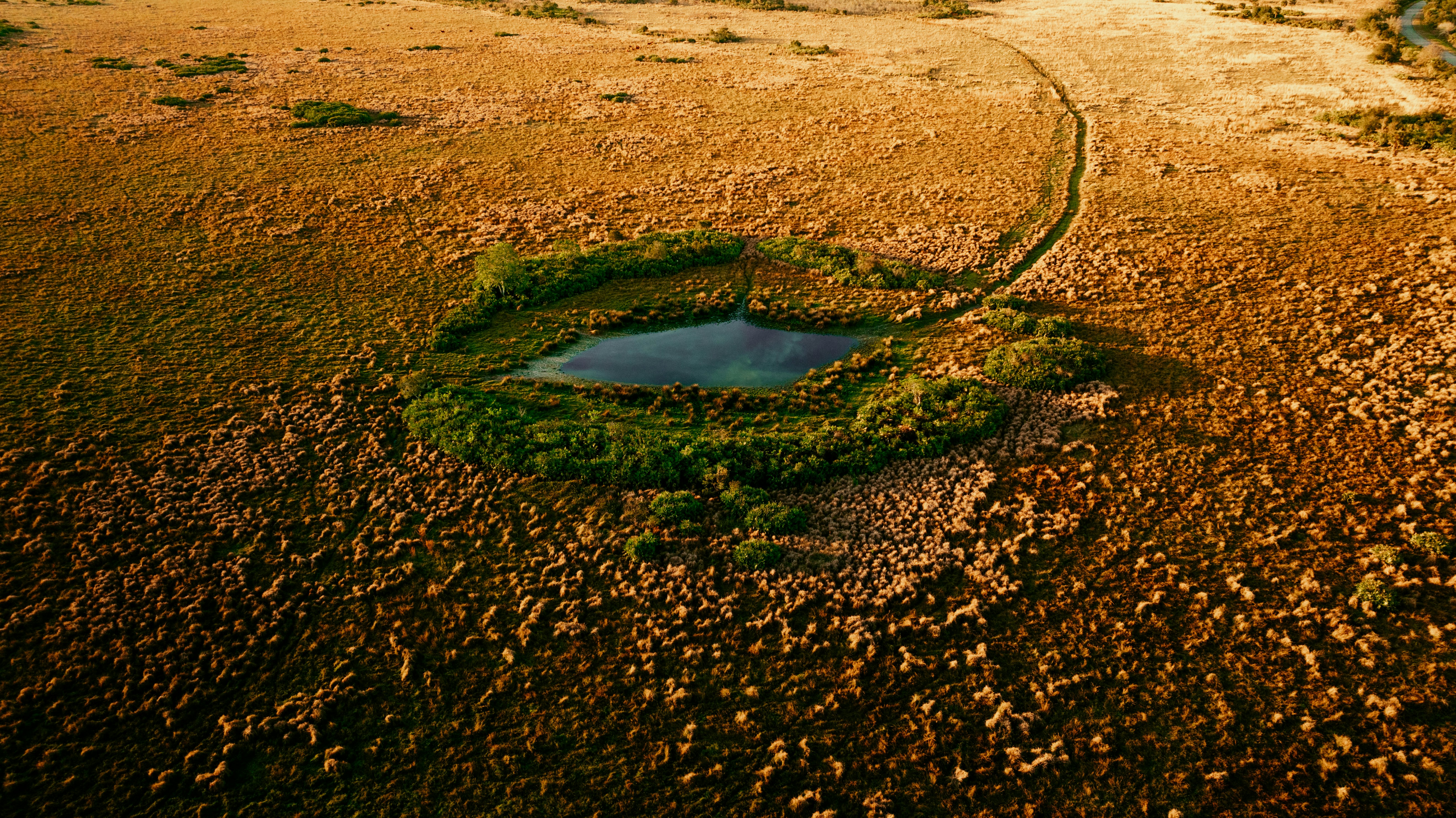 A small pond in the middle of a field photo – Free Nature Image on Unsplash