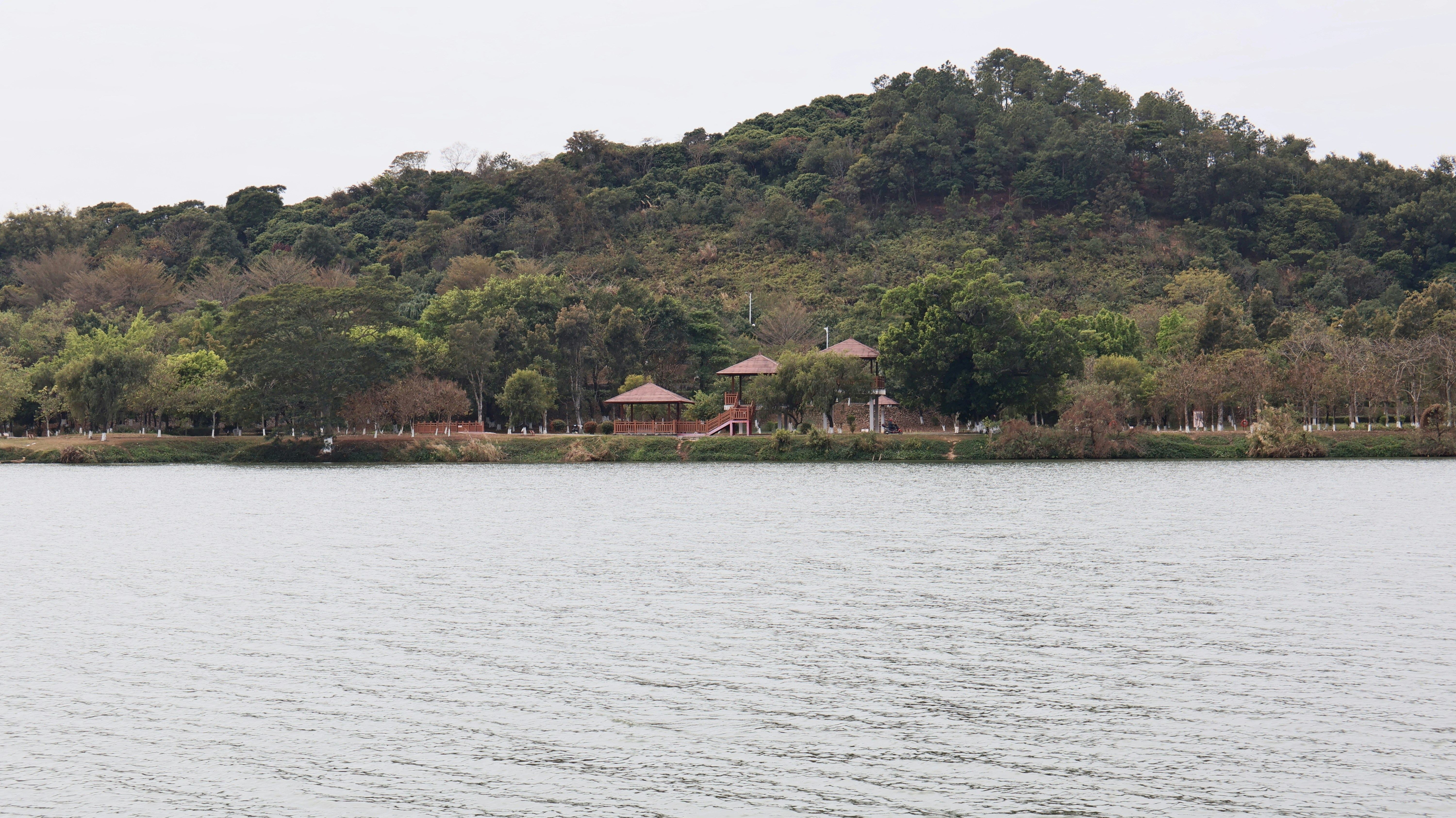 Lakeside Ridge: Distant Trees and Quiet Houses Beyond the Calm Water
