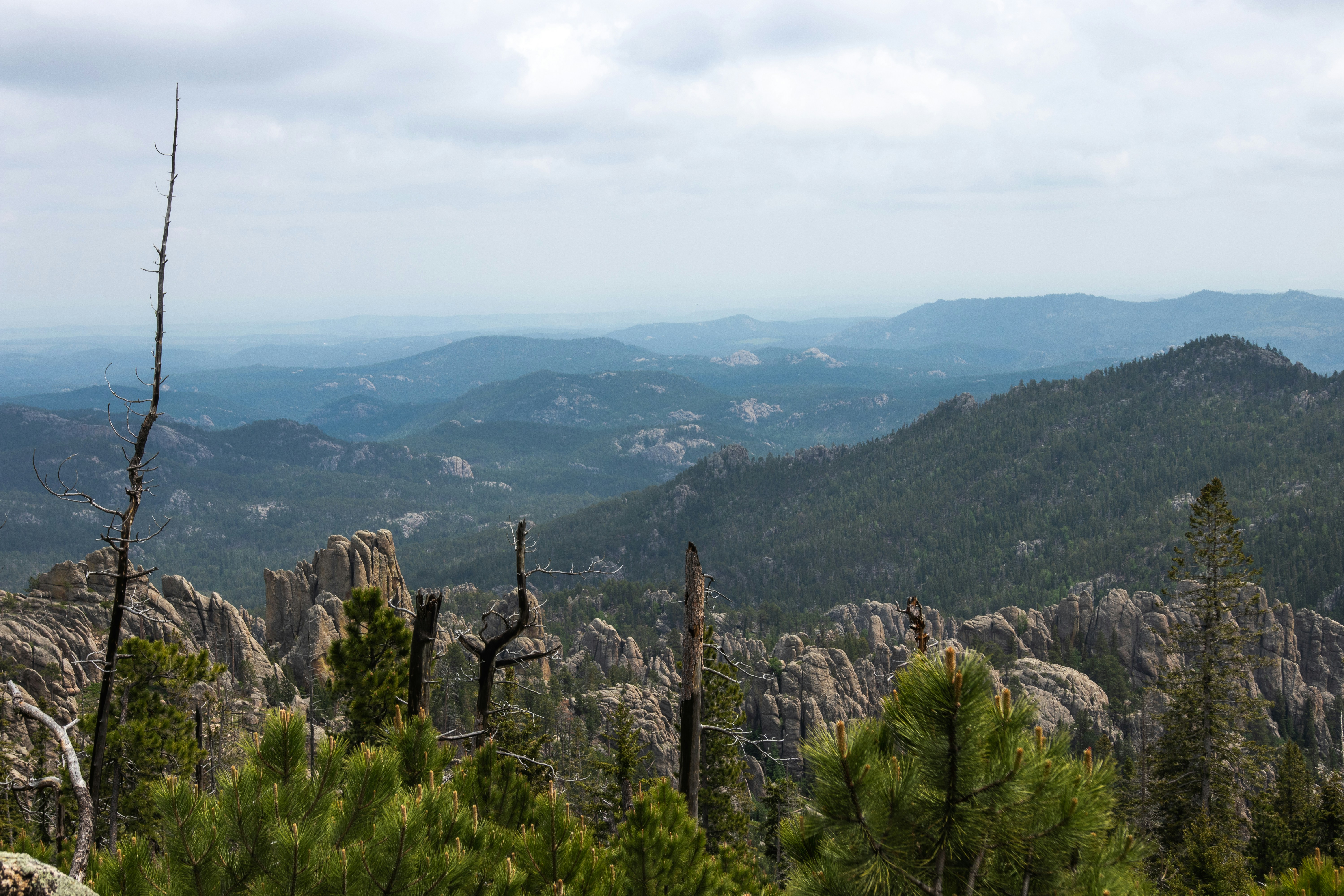Verdant Peaks and Valleys Unfolding Beyond the Horizon