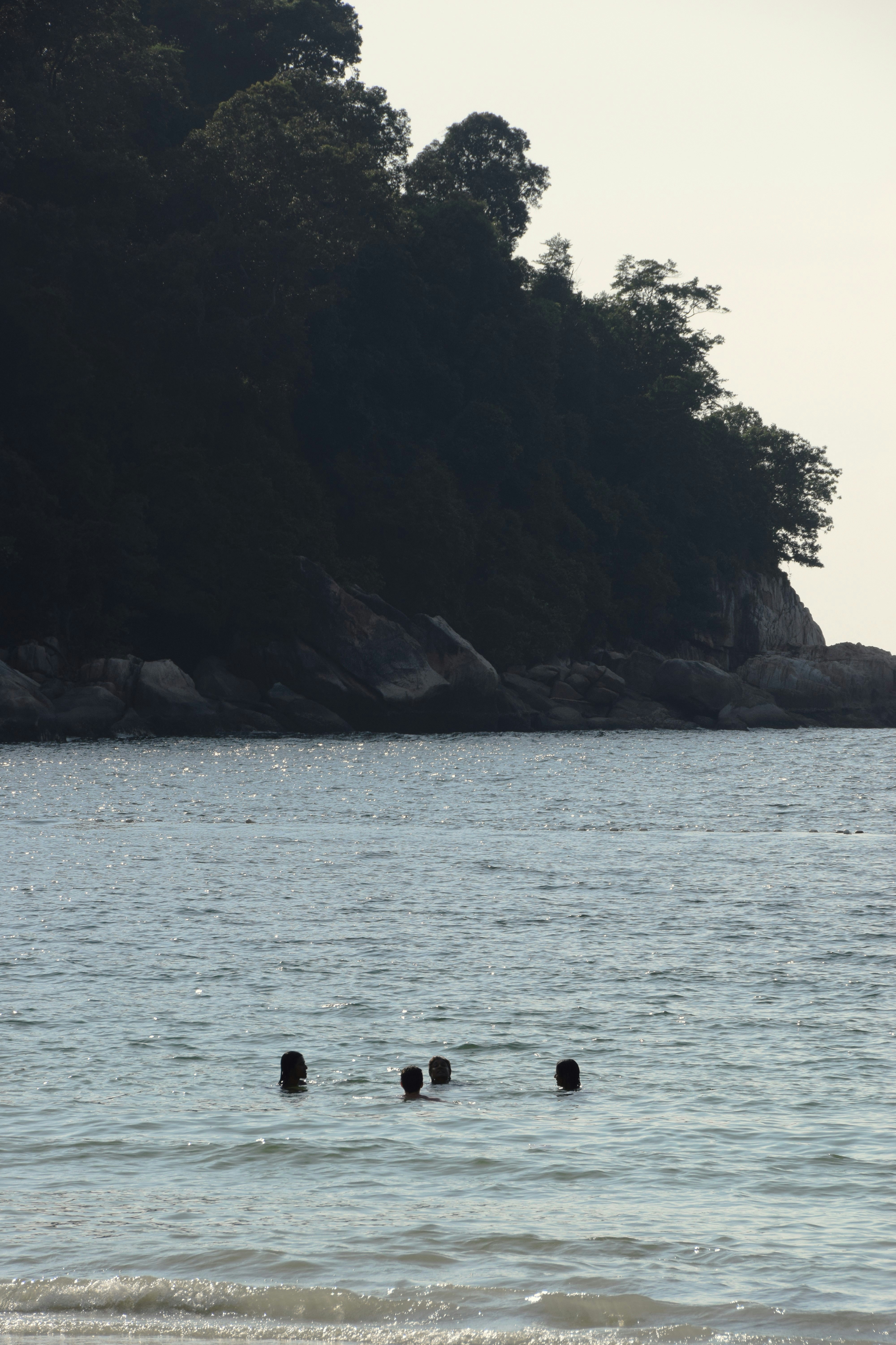 Four Heads at a Quiet Cove Beneath a Forested Cliff