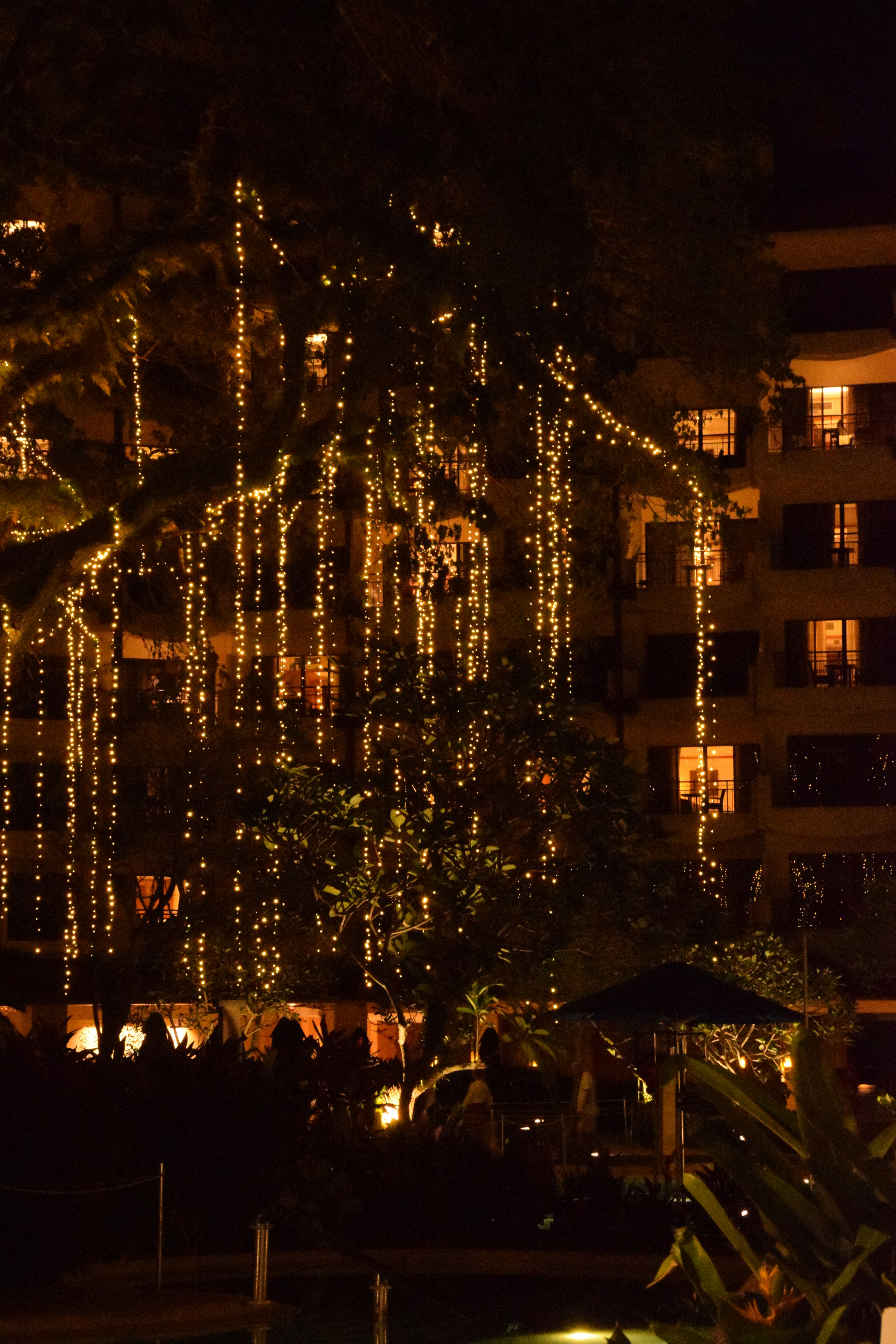 Amber Threads Draped Over a Night Courtyard
