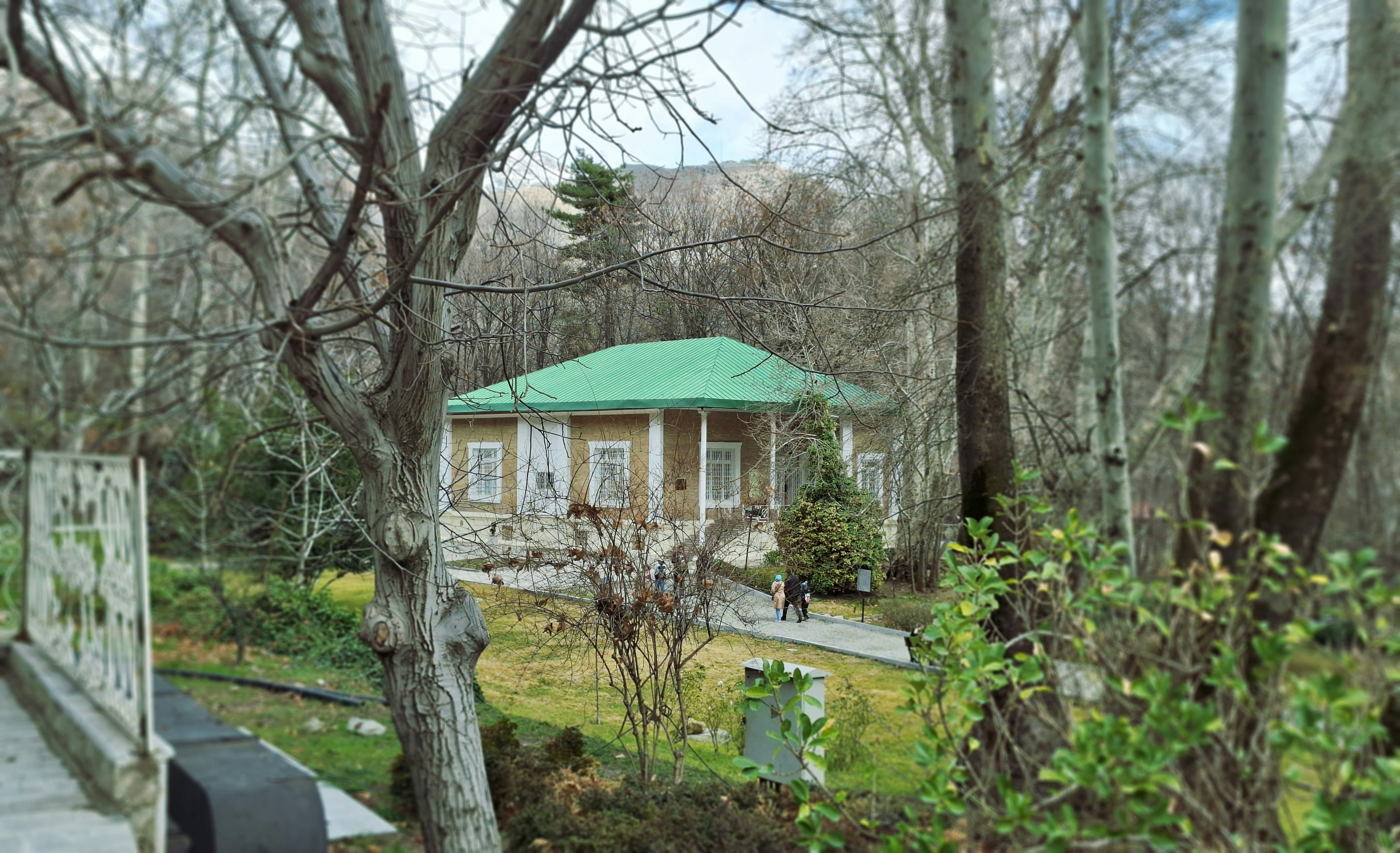 Verdant Roofs, Quiet Path: A Pavilion in a Spring Grove