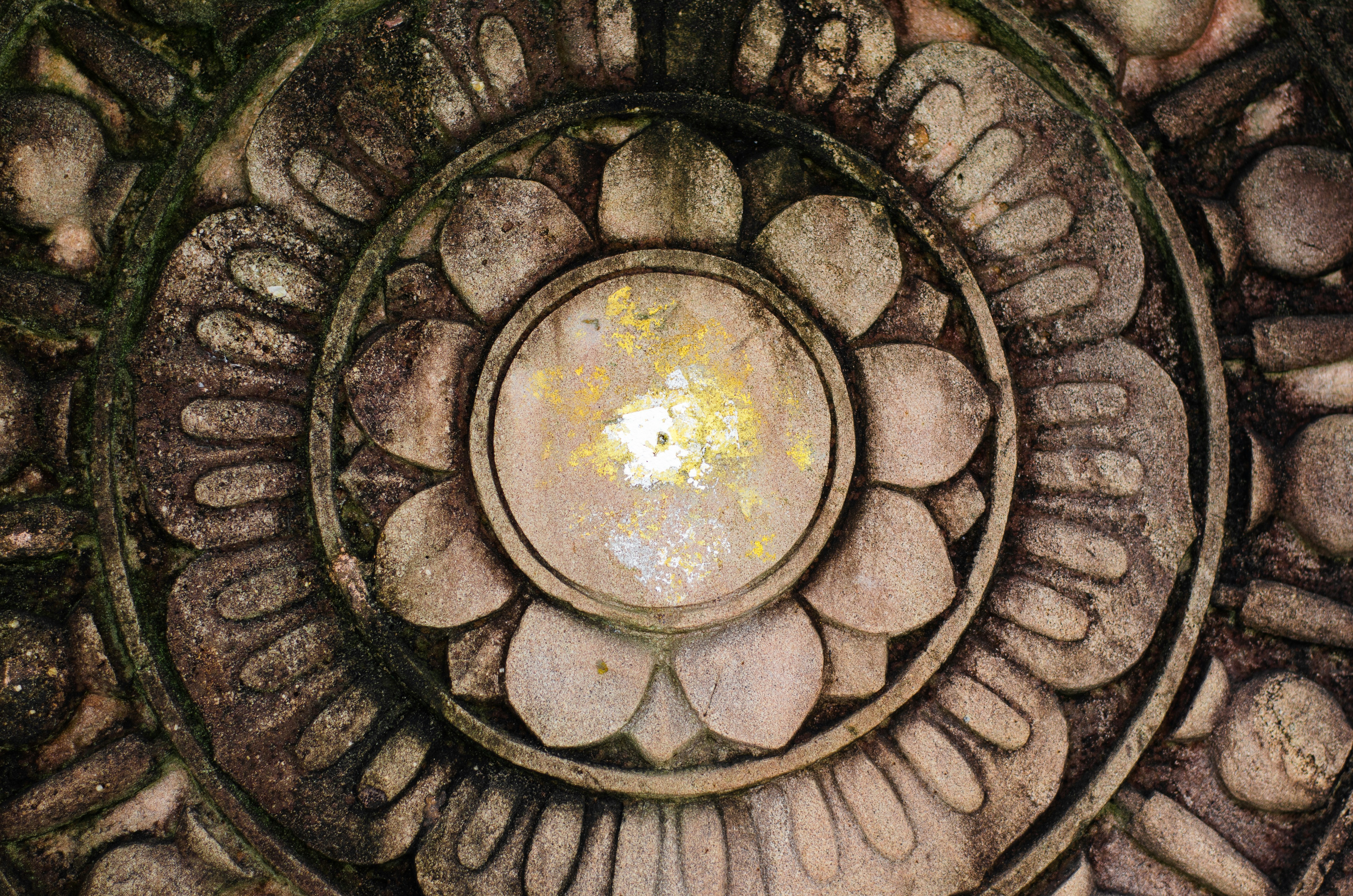 Moss-Wrapped Stone Mandala: Concentric Carvings in Time
