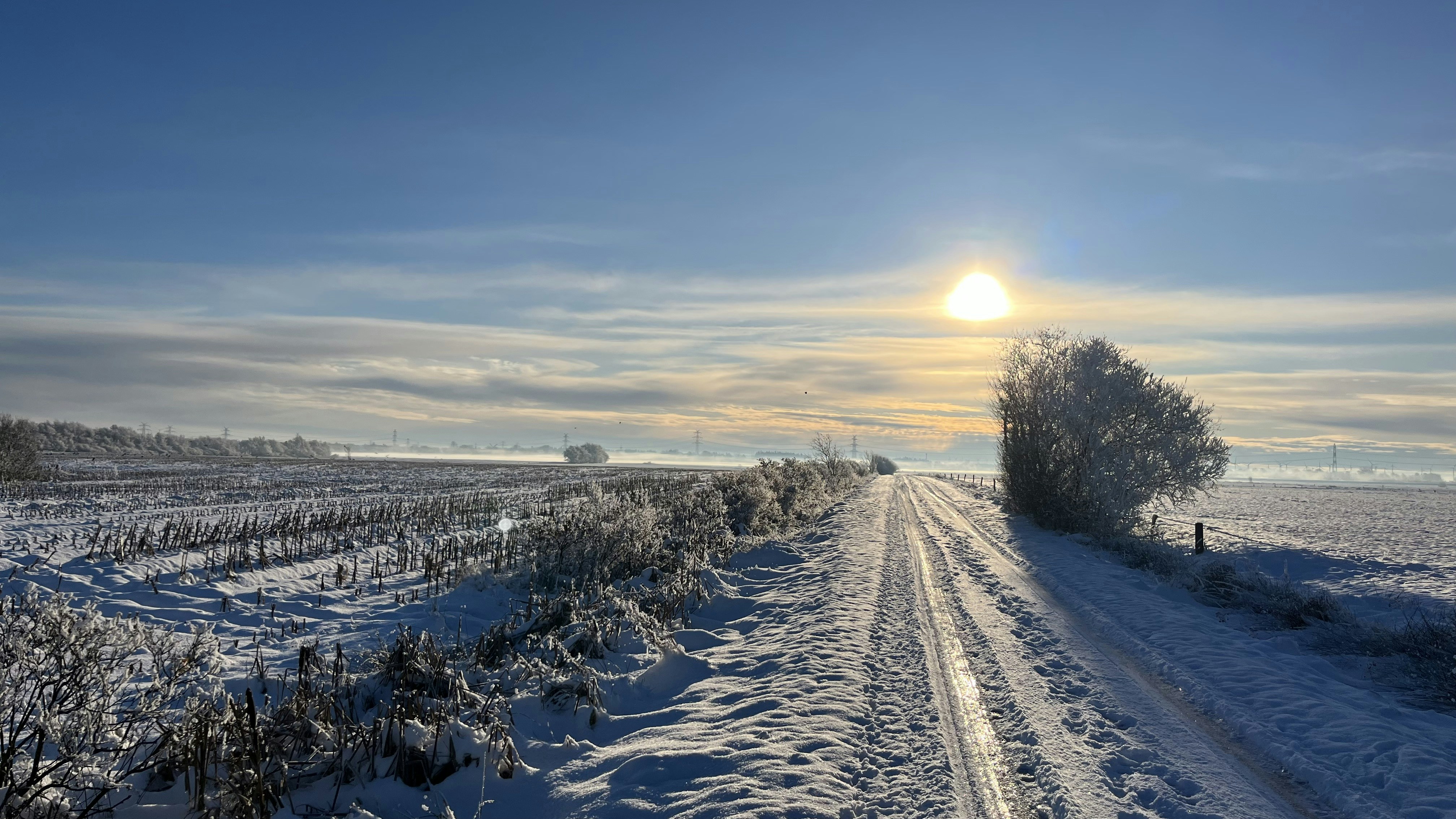 Snow-covered rural road with sunlit horizon and frosted trees.