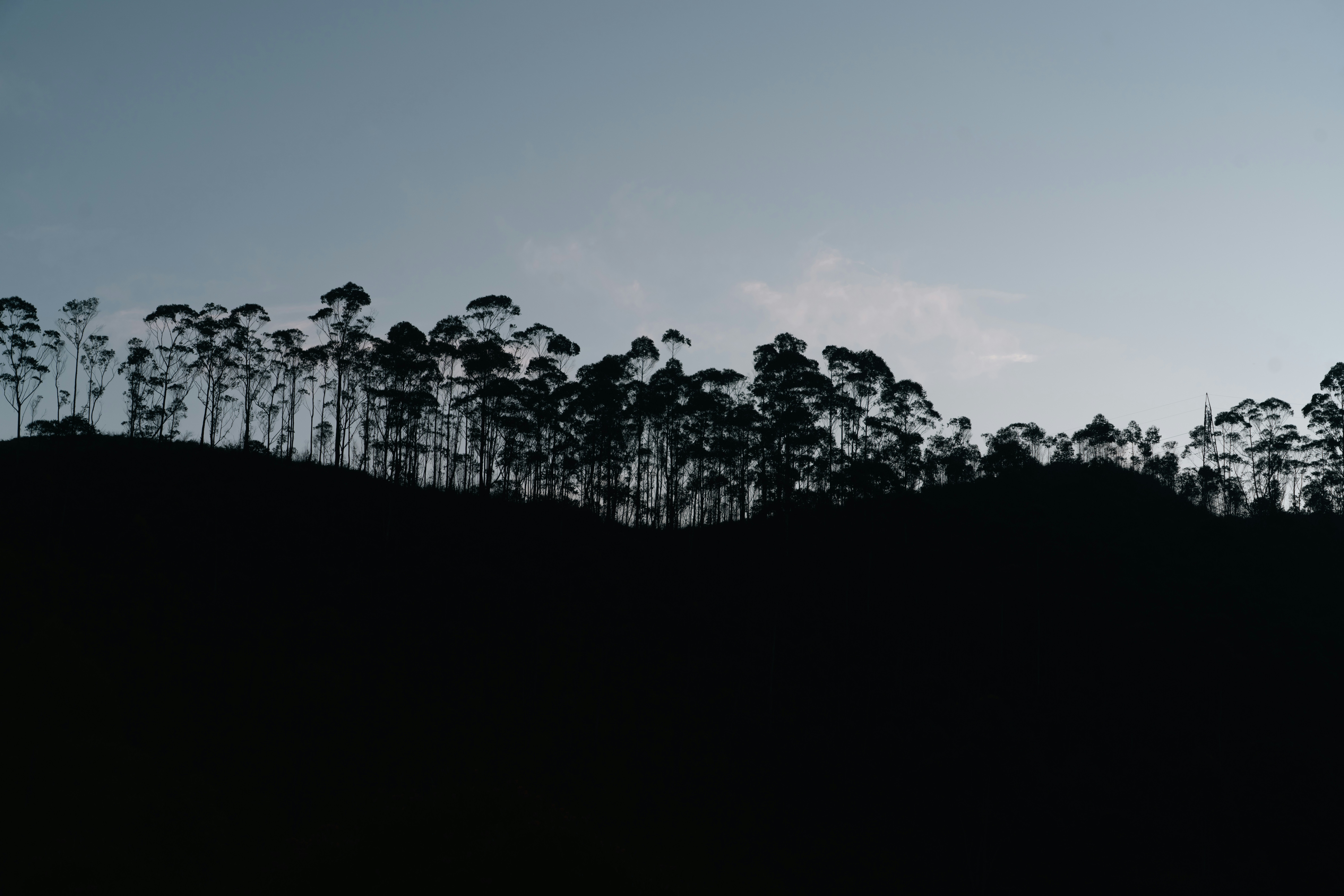 Photo by penta sathwik with Sony Alpha 7R IV