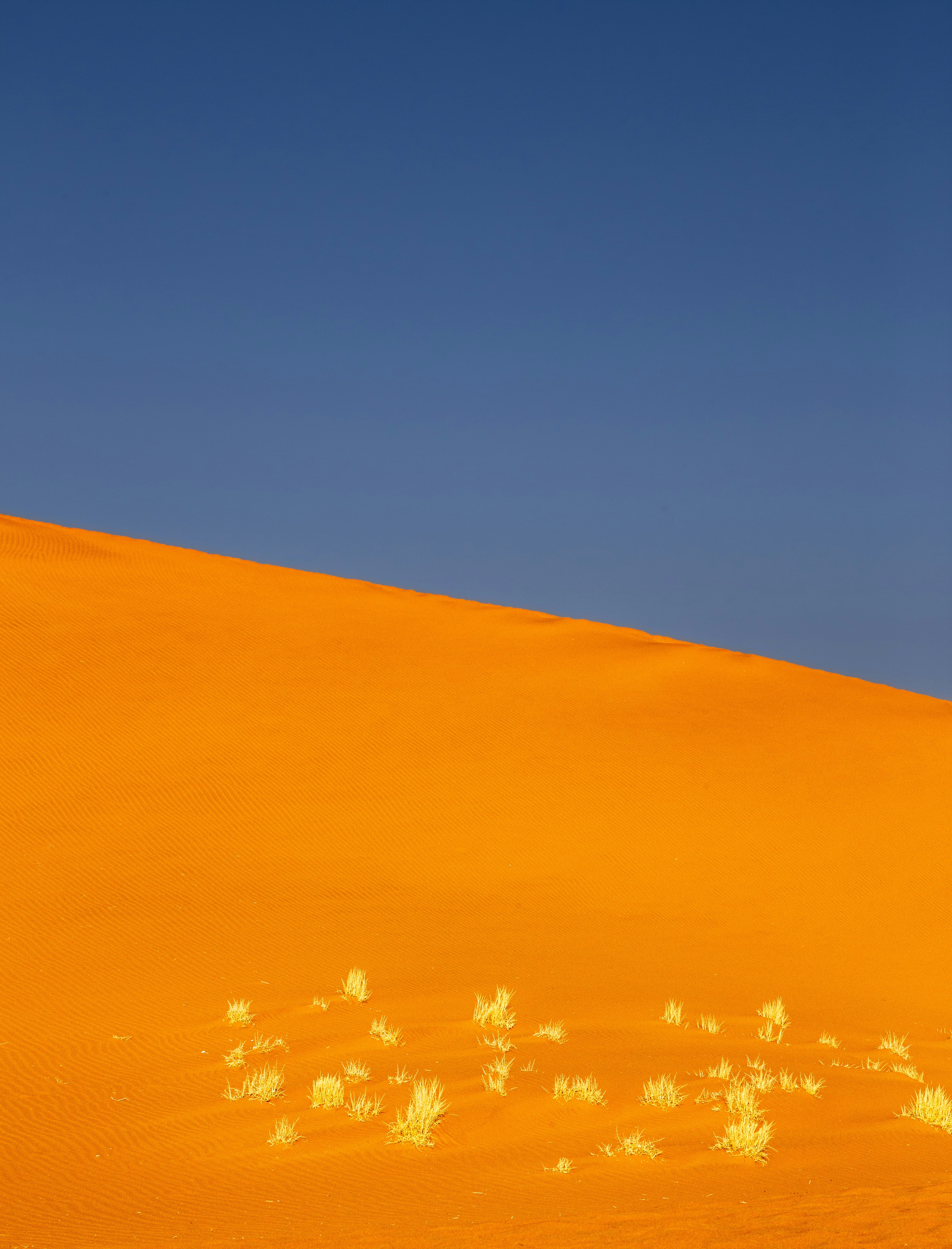 Golden Ridge of Silence: Desert Dune Beneath a Cerulean Sky