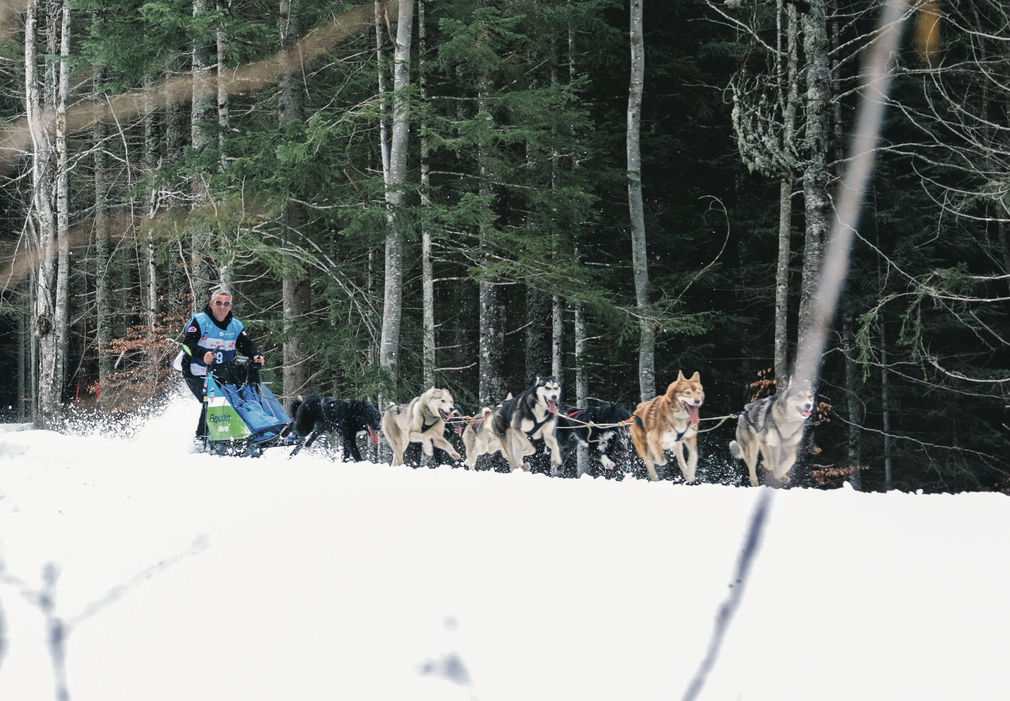 A man on a sled pulled by dogs in the snow photo – Free Villard-de-lans ...
