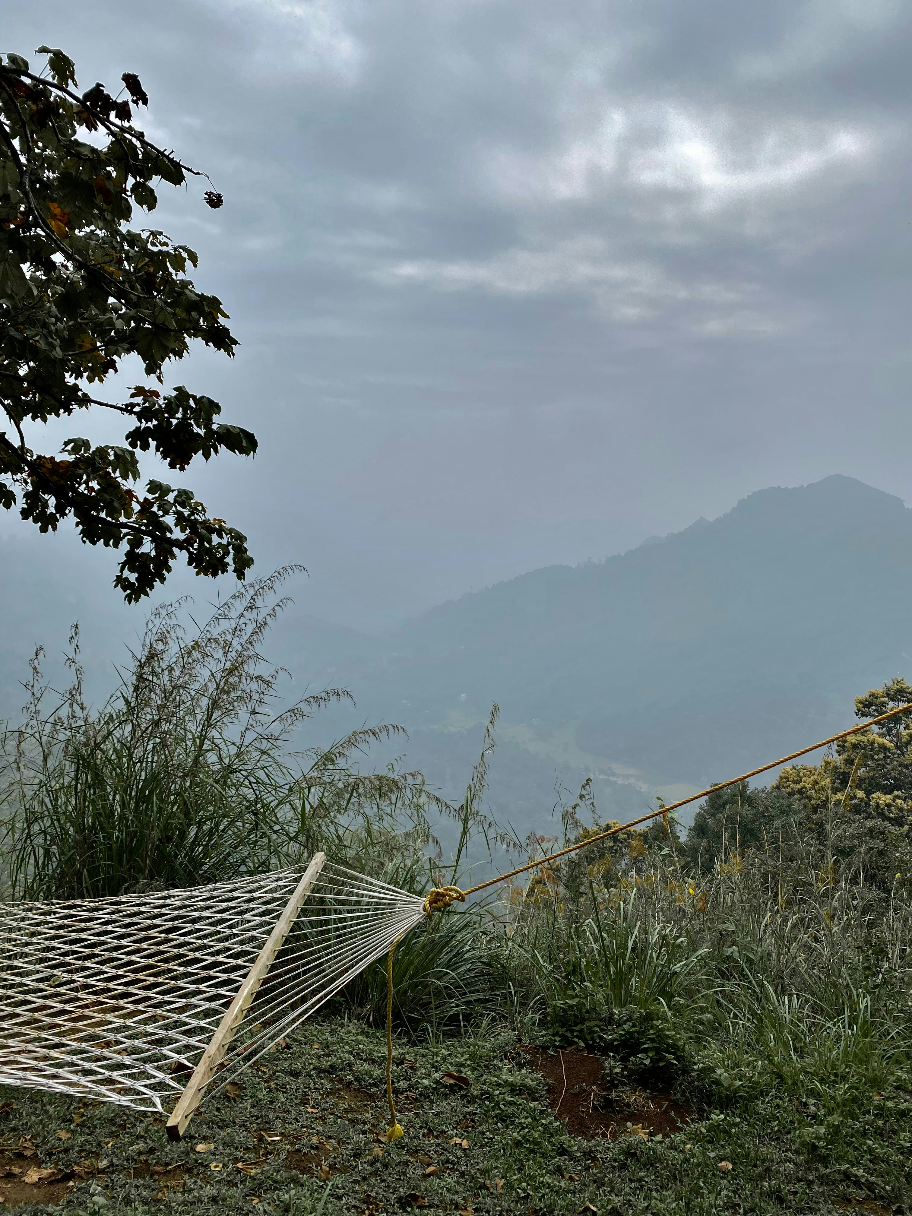 Hammock on a Misty Ridge
