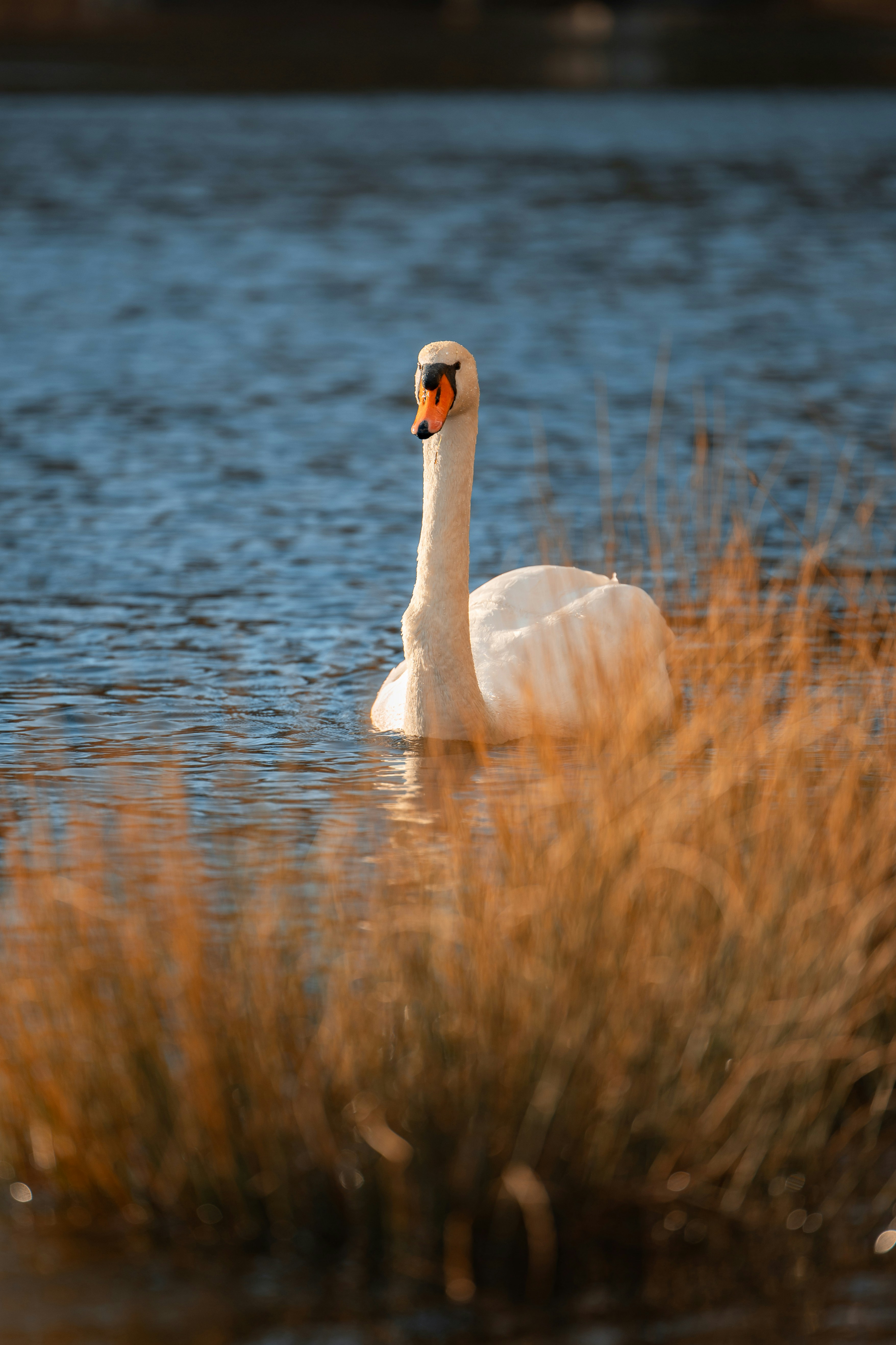 Photo by Slavan with Canon EOS R3