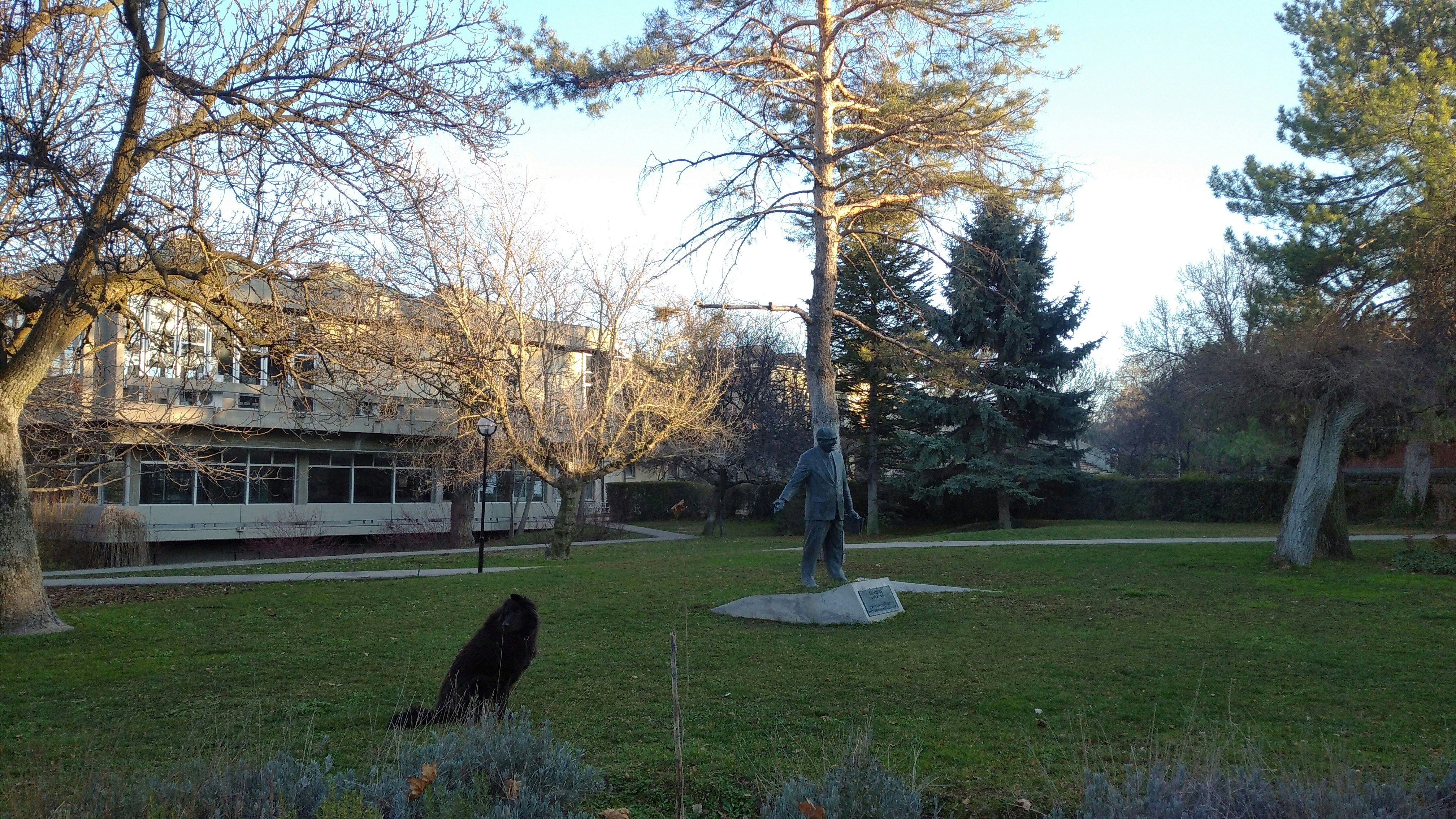 Lush green lawn surrounded by bare trees and a modern building under a clear blue sky.
