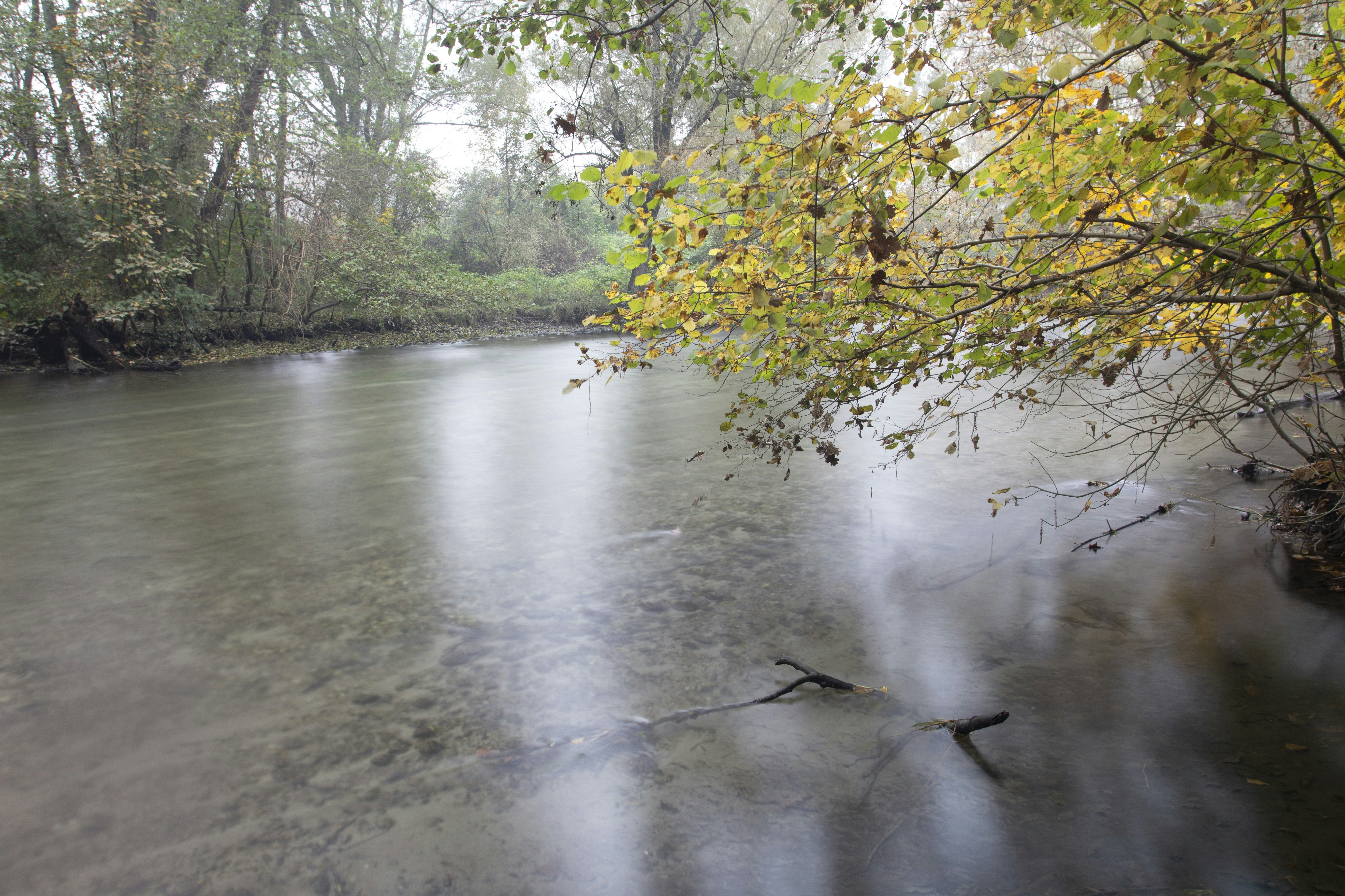 Calm river reflecting autumn foliage with misty trees in the background.