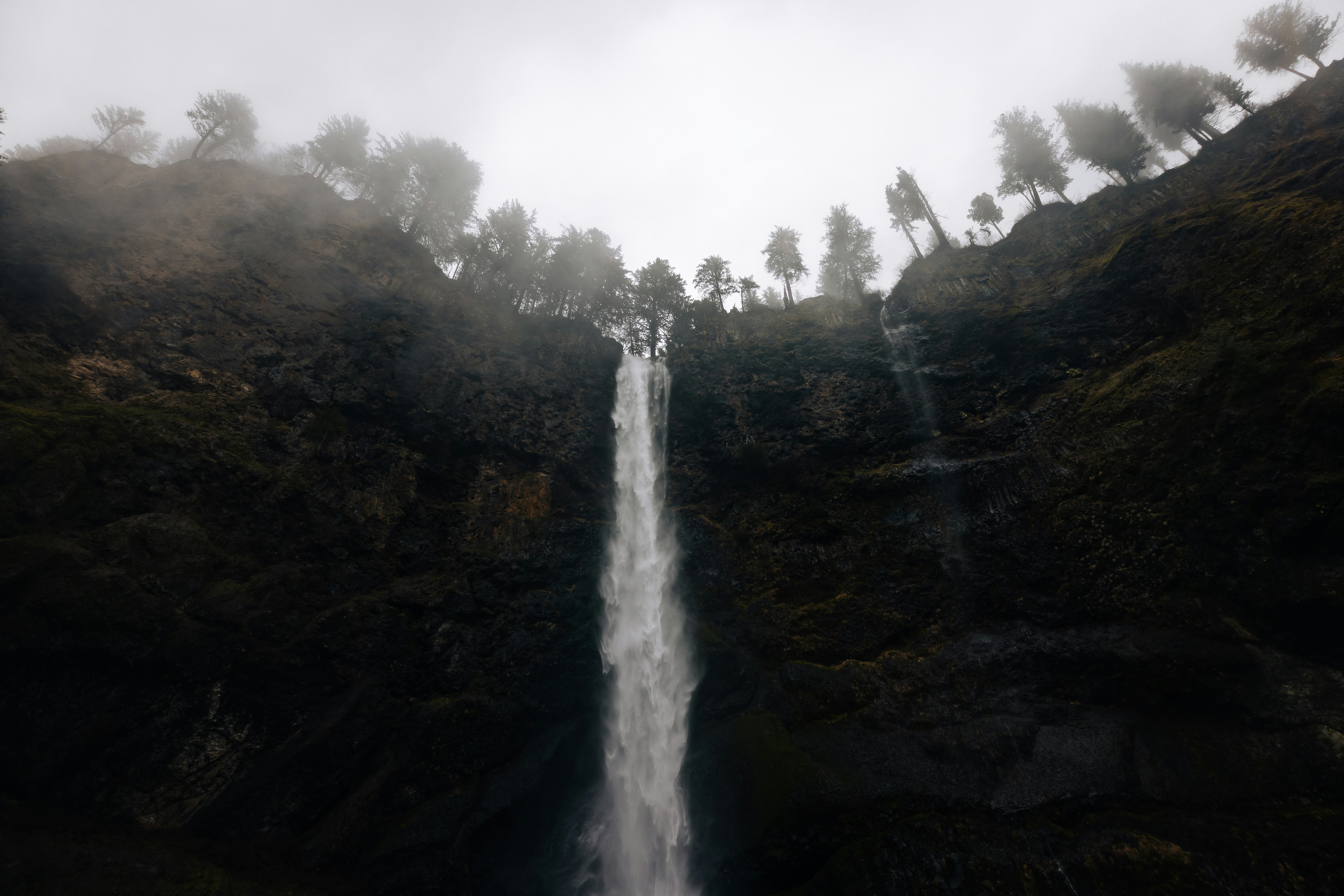 A very tall waterfall in the middle of a forest photo – Free Multnomah ...