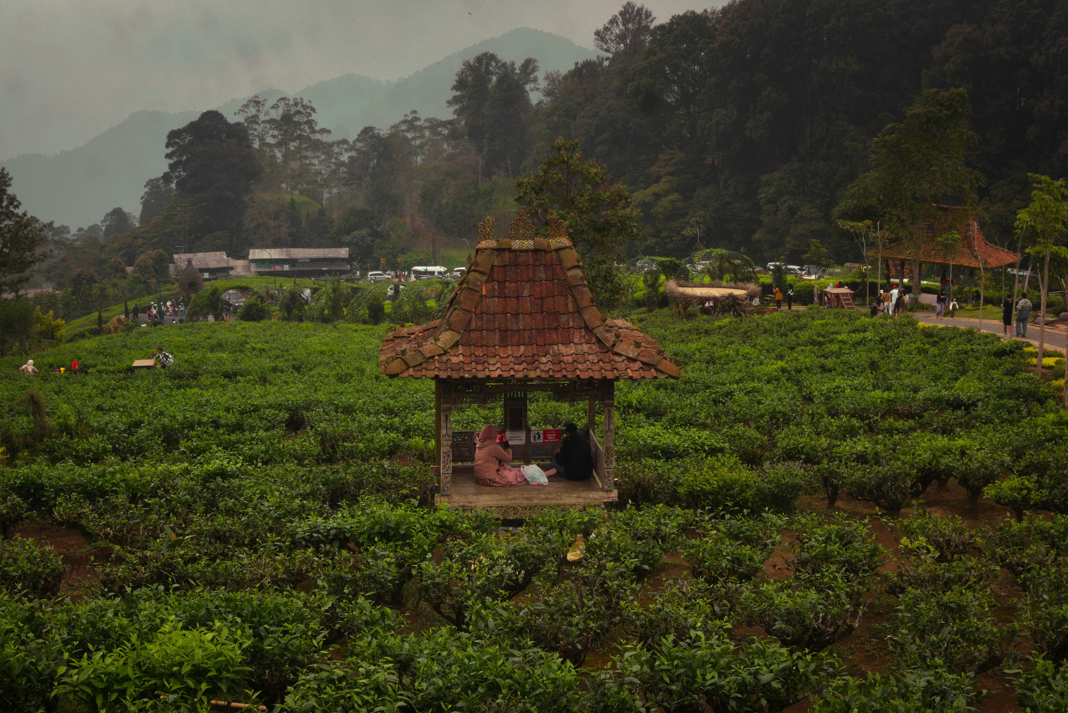 Photo by Michael Stevanus Hartono with Sony Alpha 5000