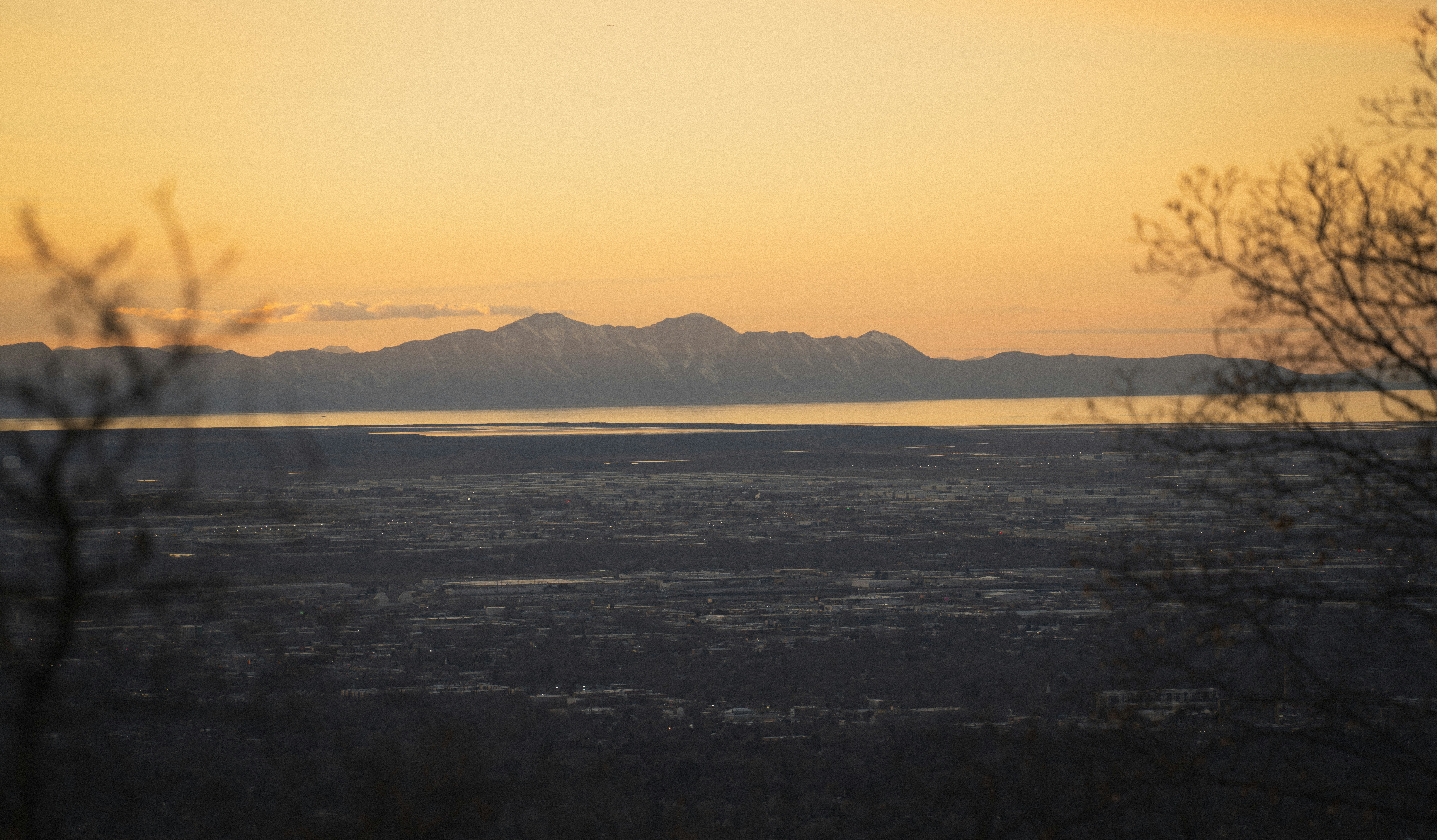 Distant mountains silhouette against a yellow sunset above the Great Salt Lake, framed by bare tree branches.