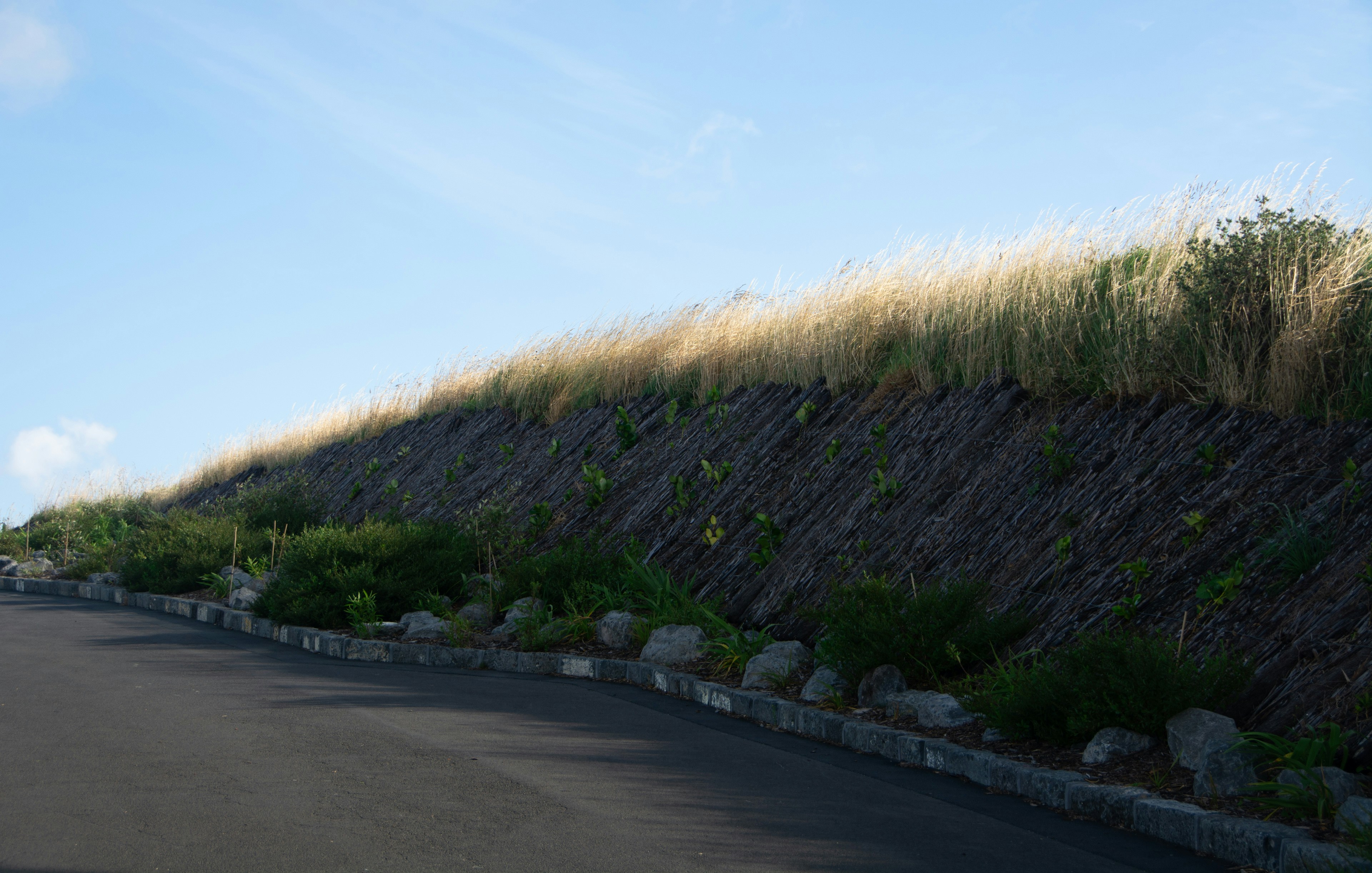 Sunlit Grass-Capped Slope Framing a Quiet Road