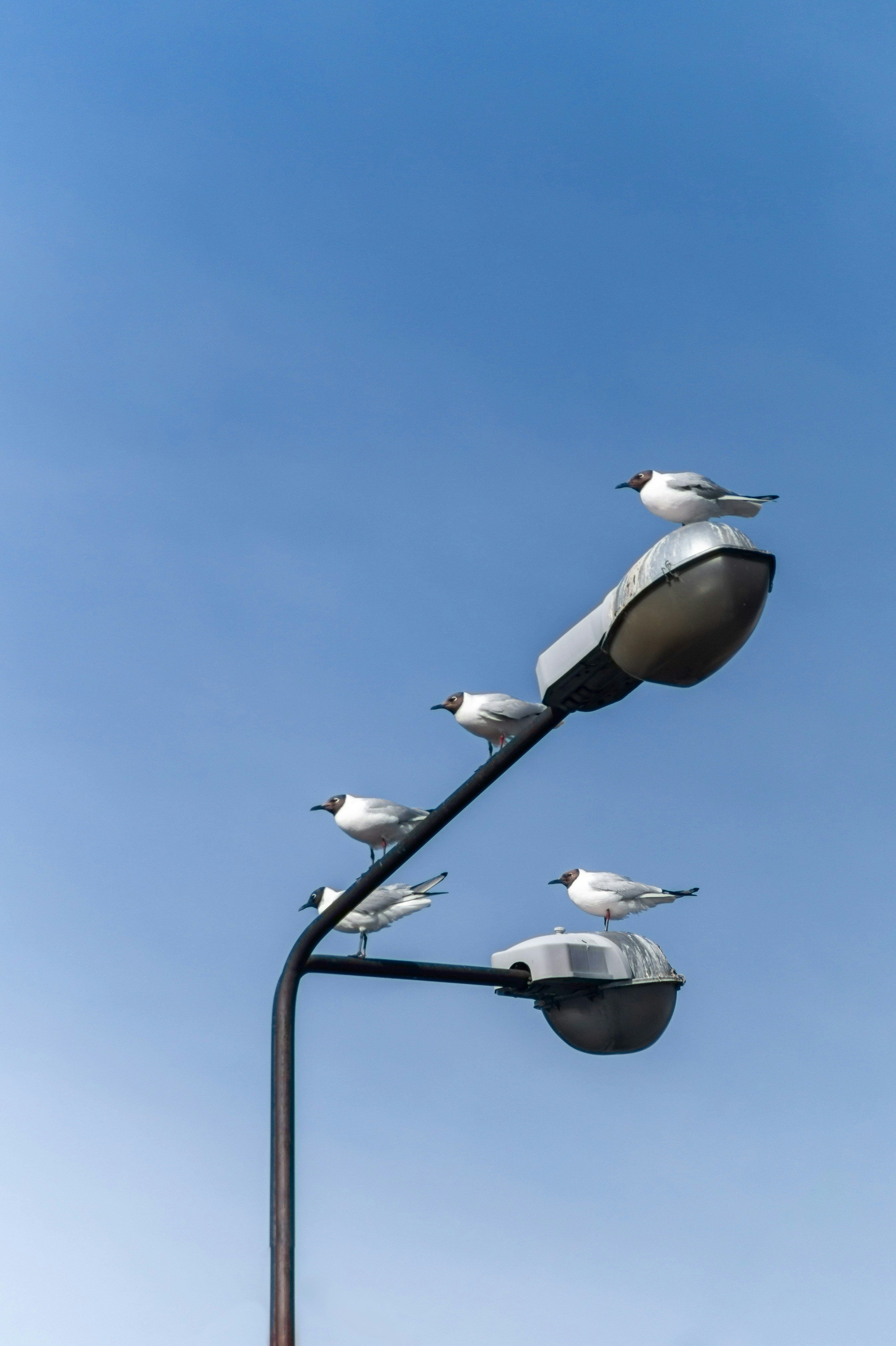 Photo by Dmitriy Ignatenko with Sony Alpha 58