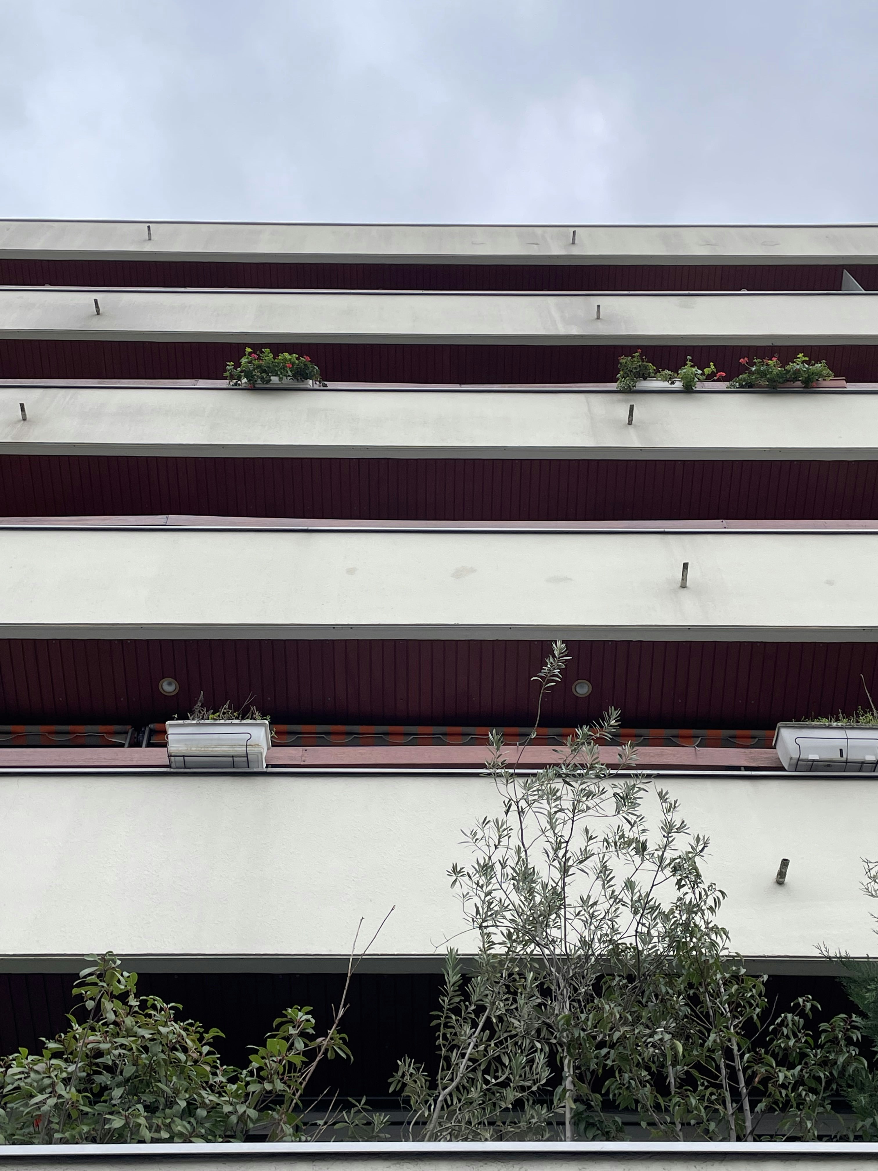 Lines of Green on a Burgundy-Striped Facade