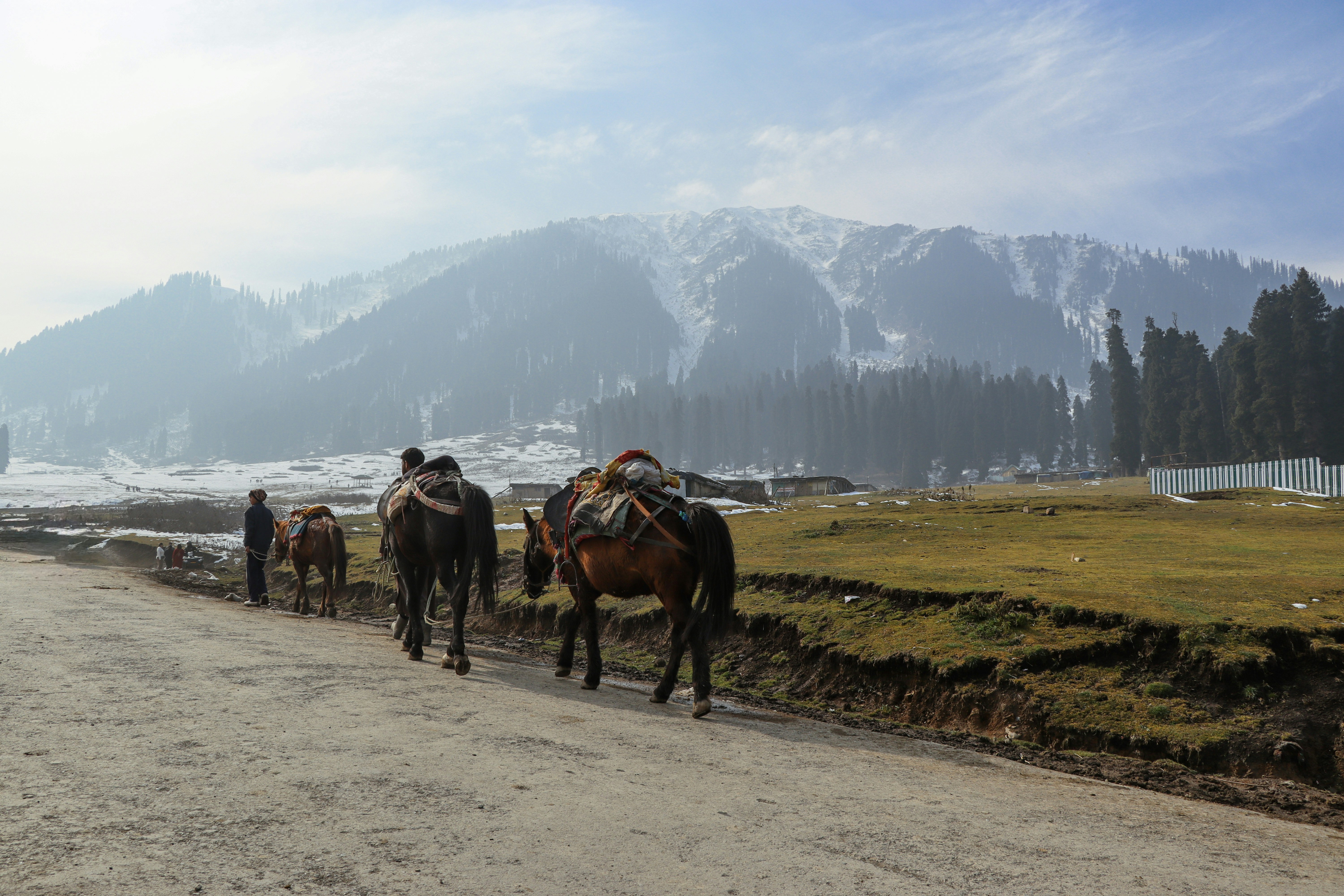 Horses on a Quiet Mountain Road Beneath Snowy Peaks