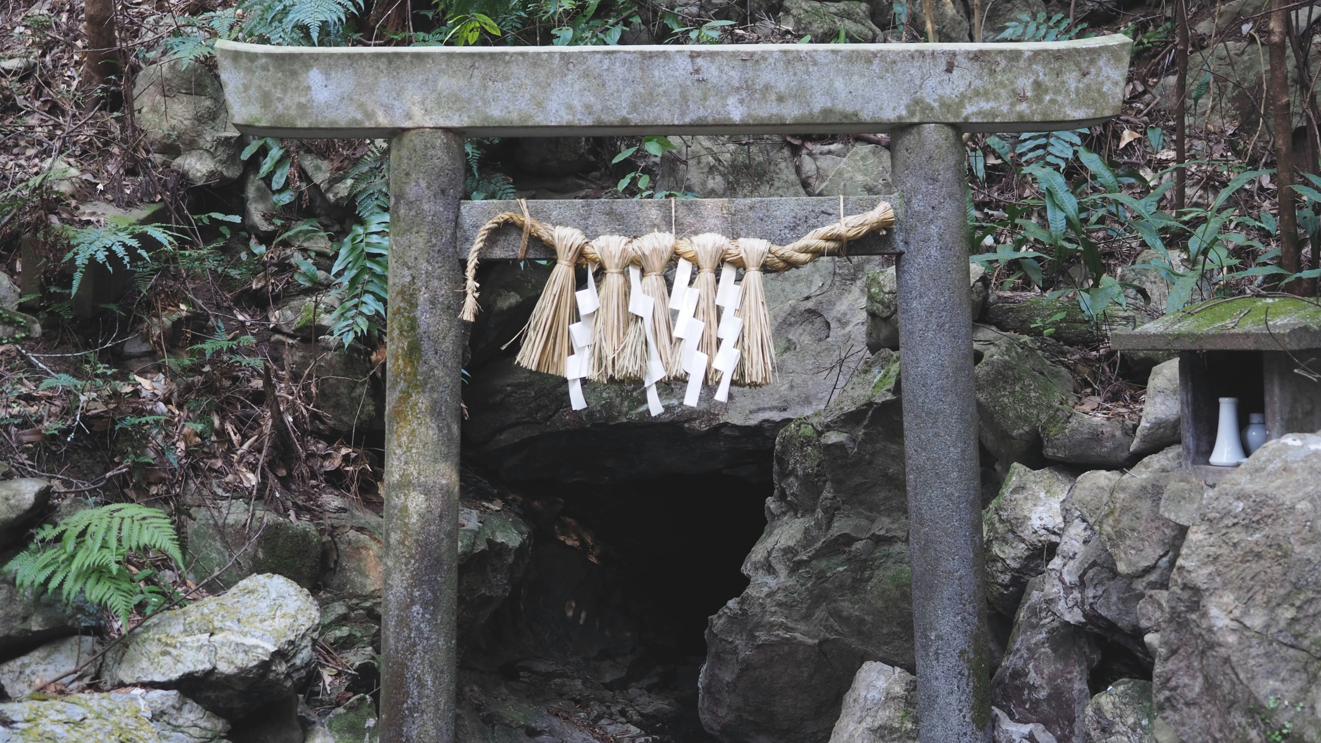 Mossbound Torii Framing a Shadowed Cave