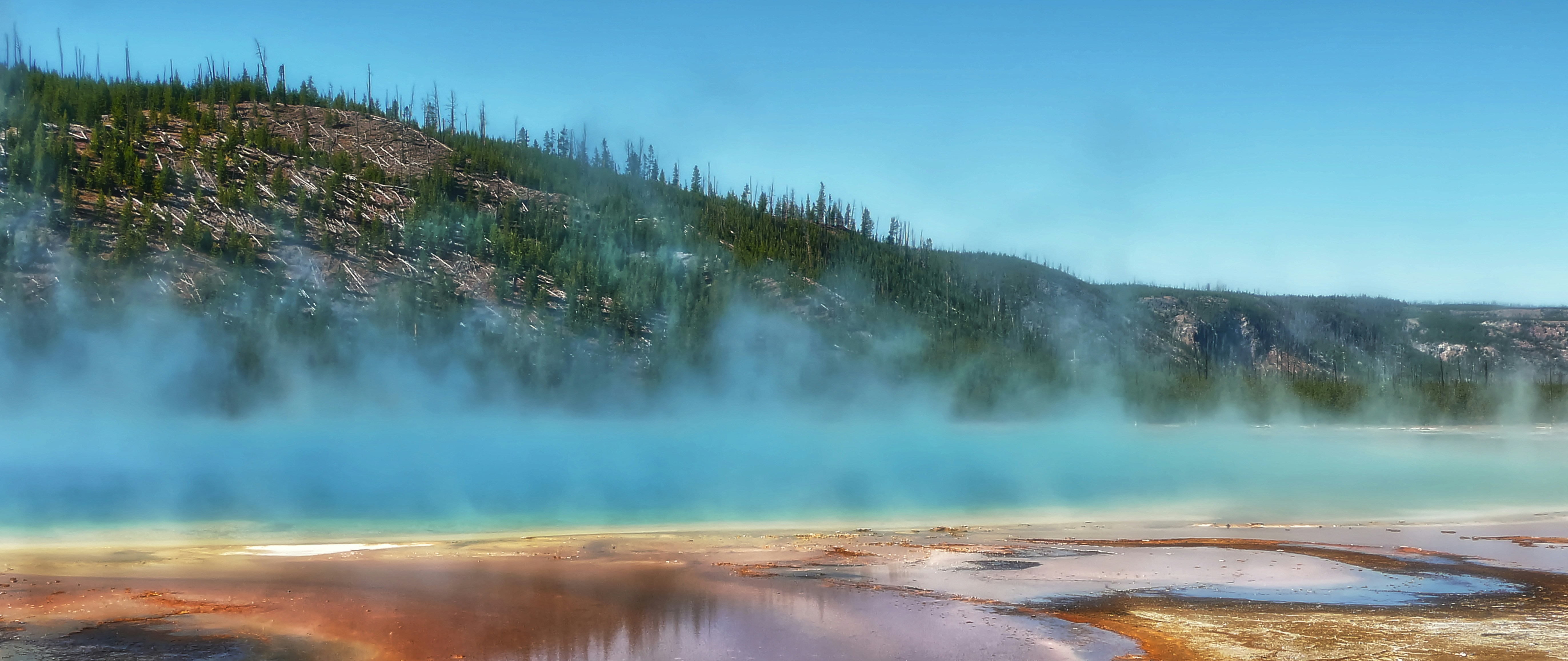 Geothermal pool with mineral-terraced edges releases steam across turquoise water while forested hills rise under a bright blue sky.