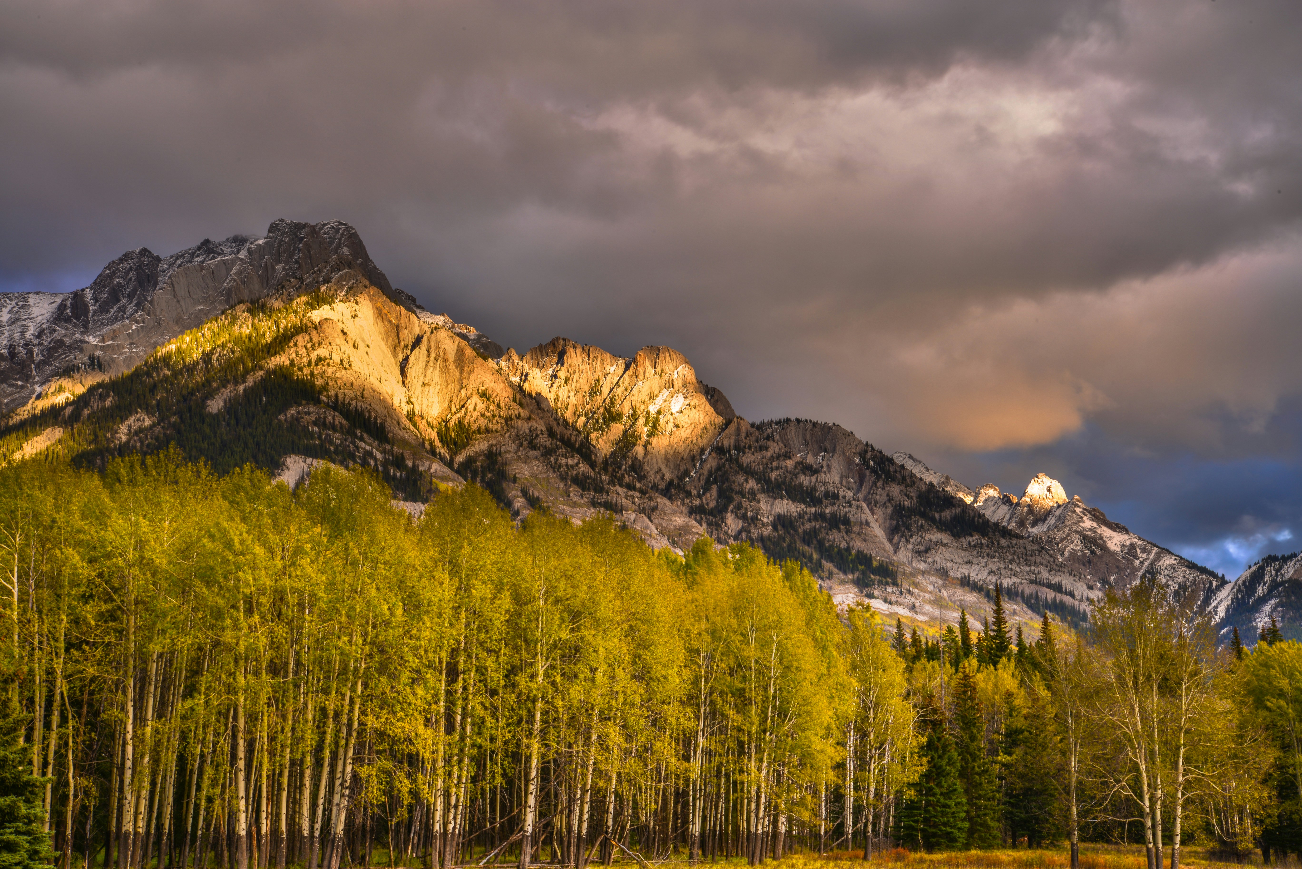 Sunlit Summit over a Golden Aspen Forest at Dusk