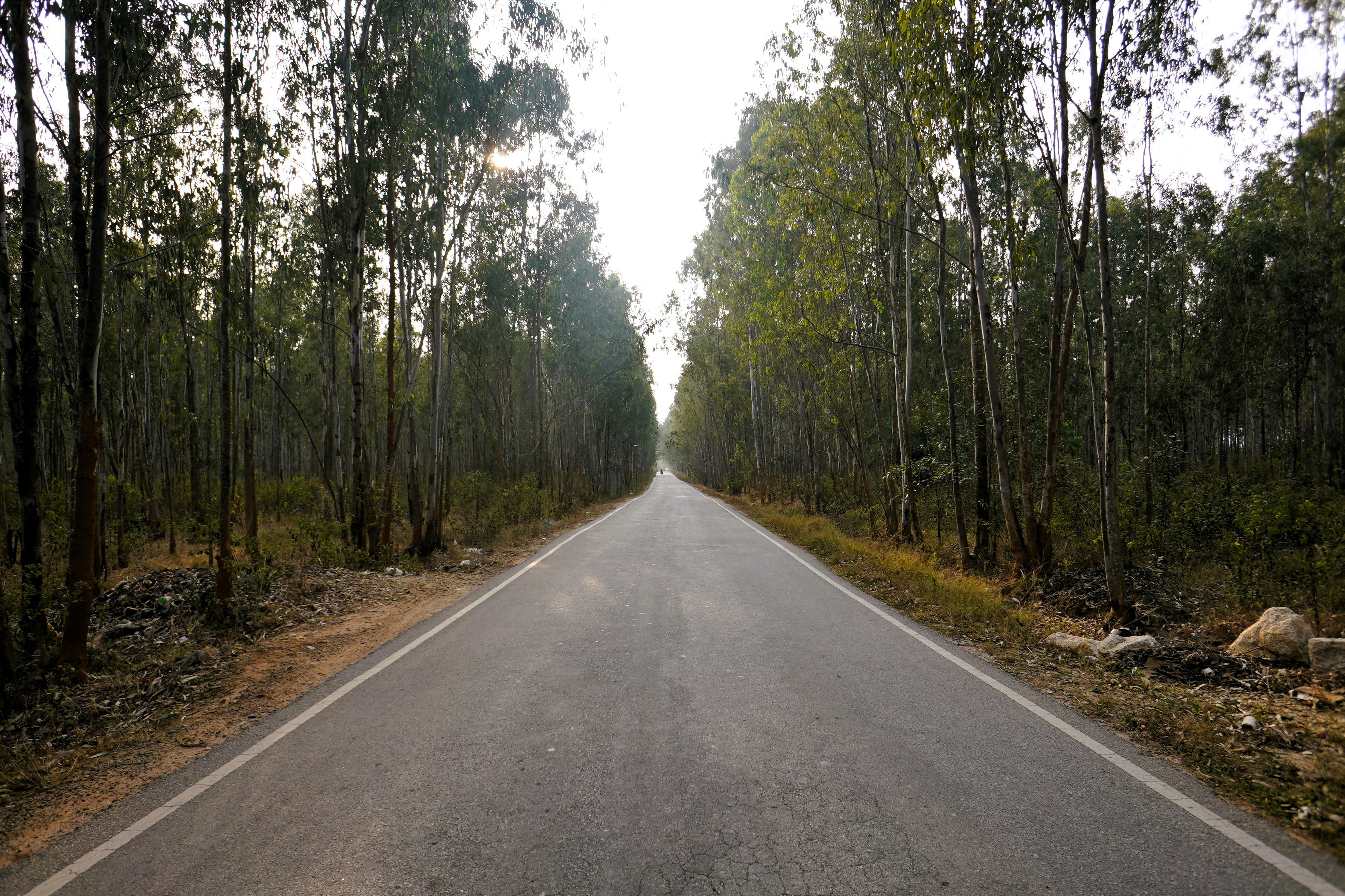 Photo by A M with Sony Alpha 7 III