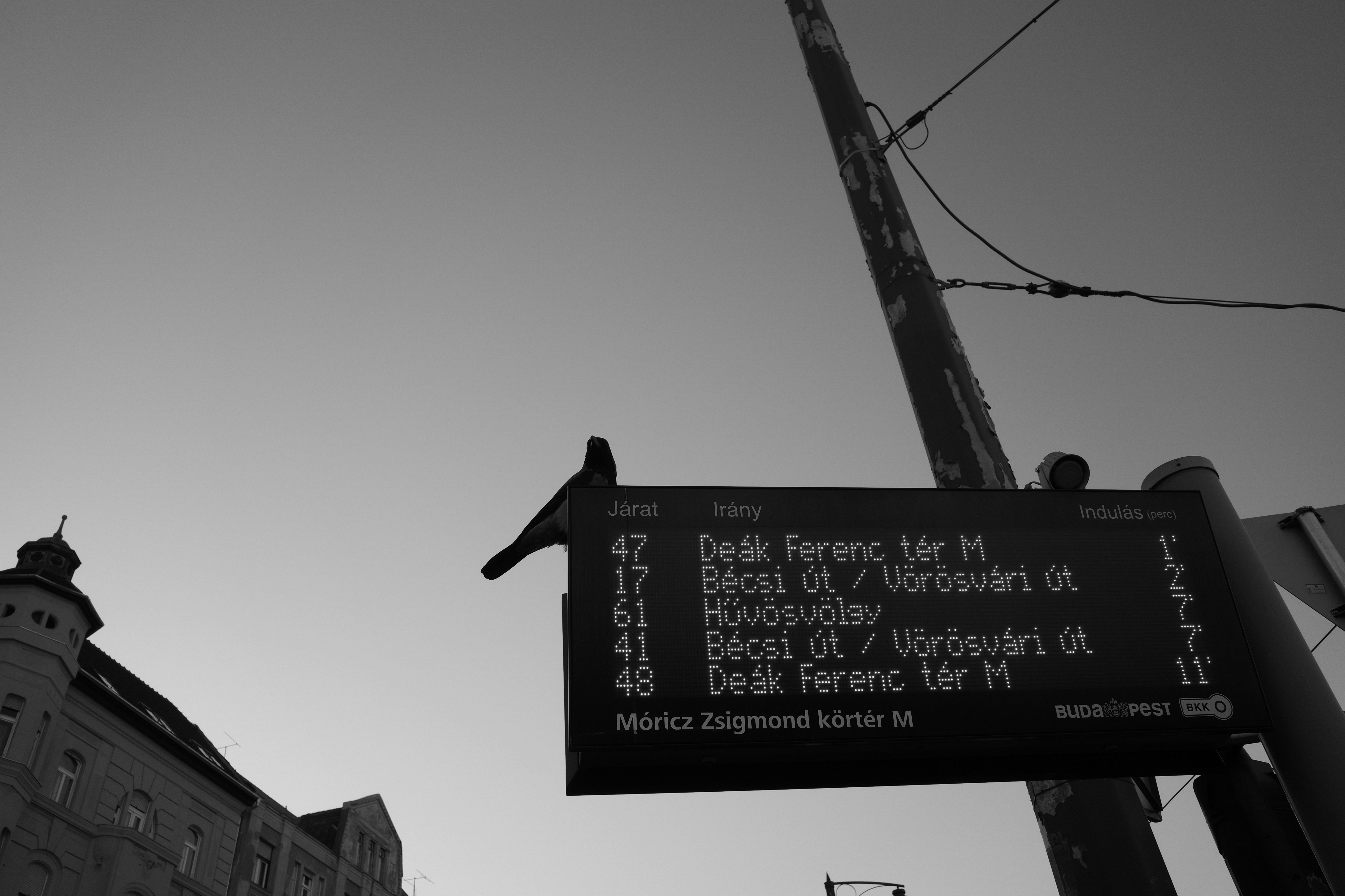 Signboard in Monochrome Cityscape