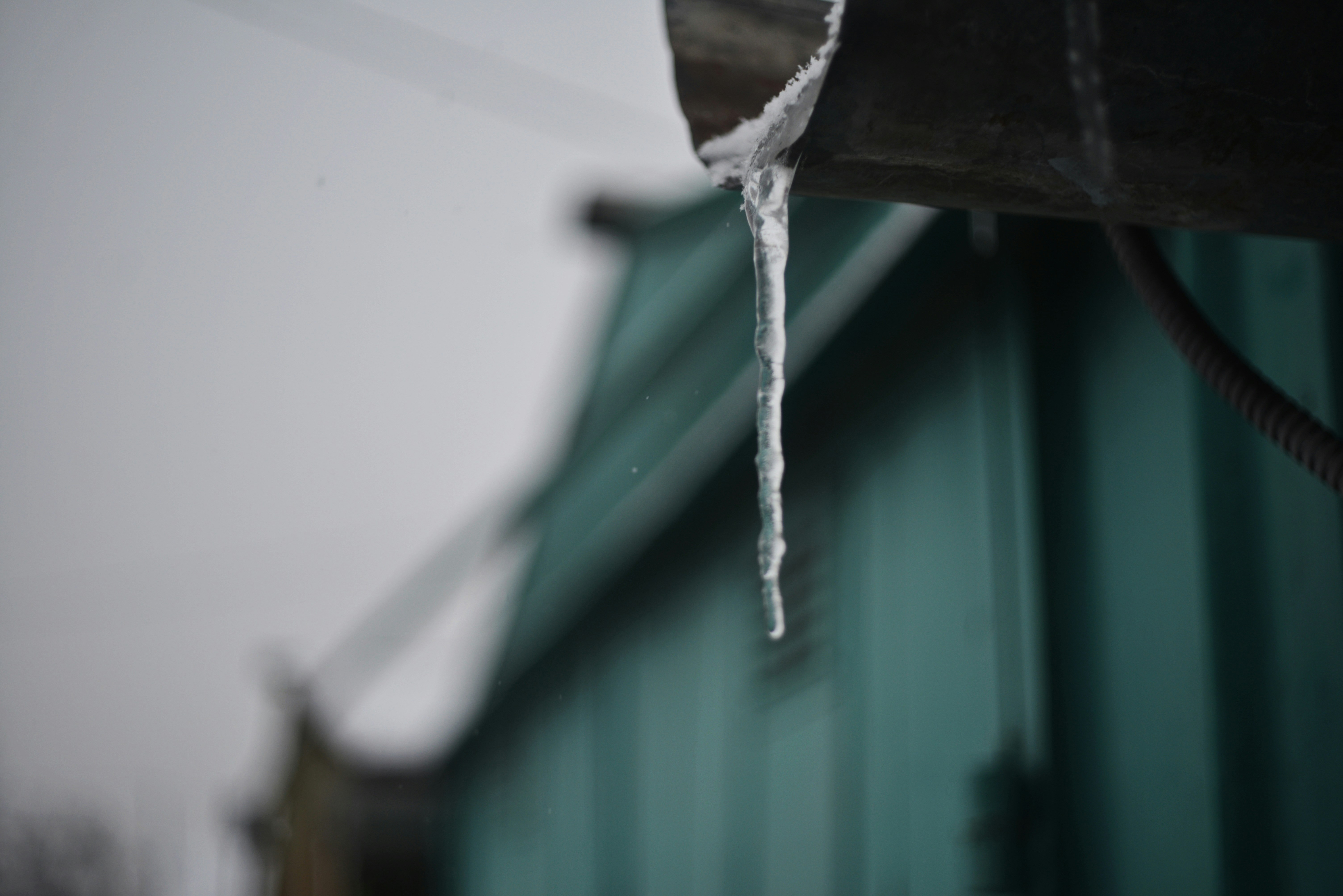 Icicle Necklace: A Shredded Thread Clinging Beneath a Green Roof