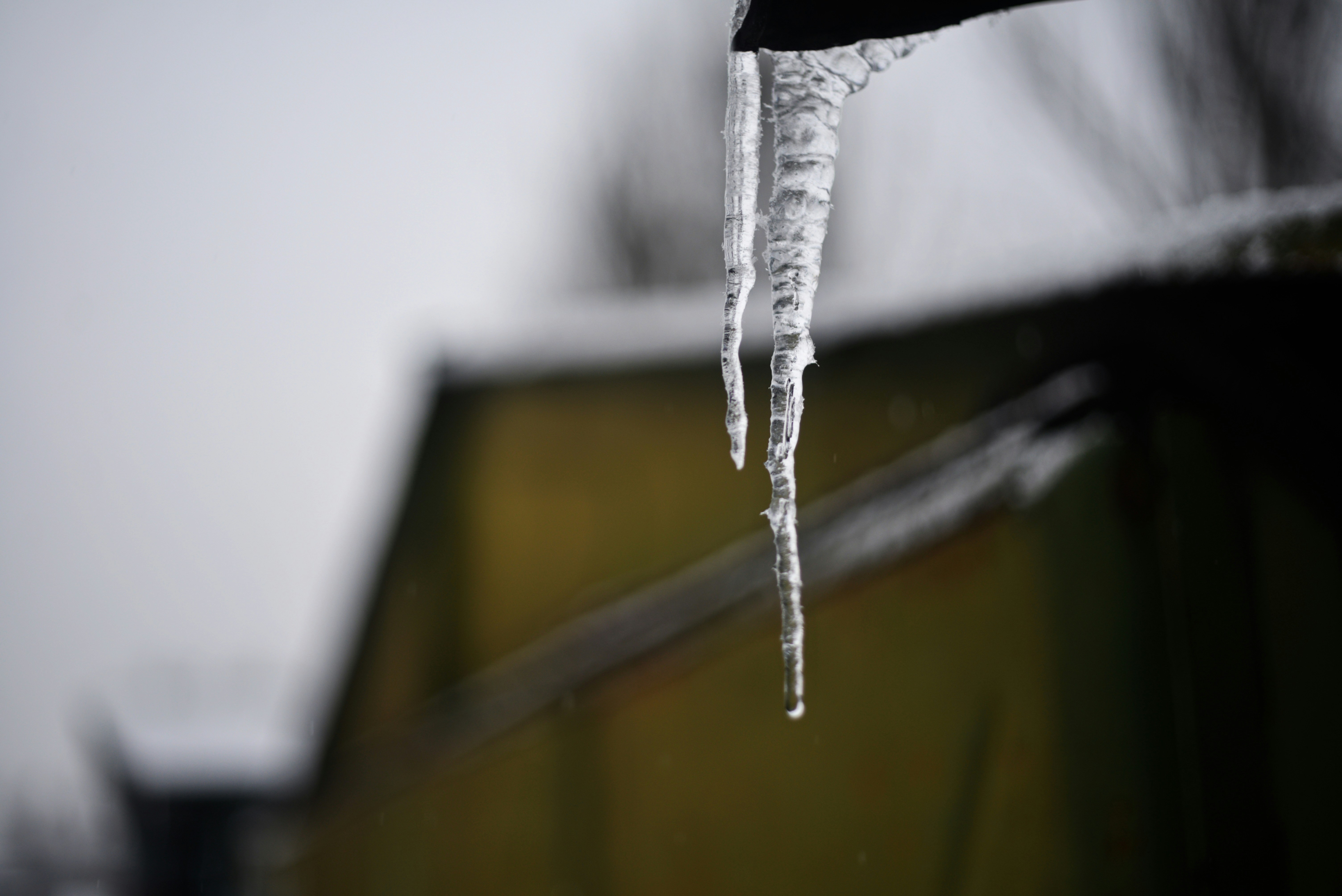 Edge of Freeze: Icicles Framing a Weathered Roof in Soft Winter Light