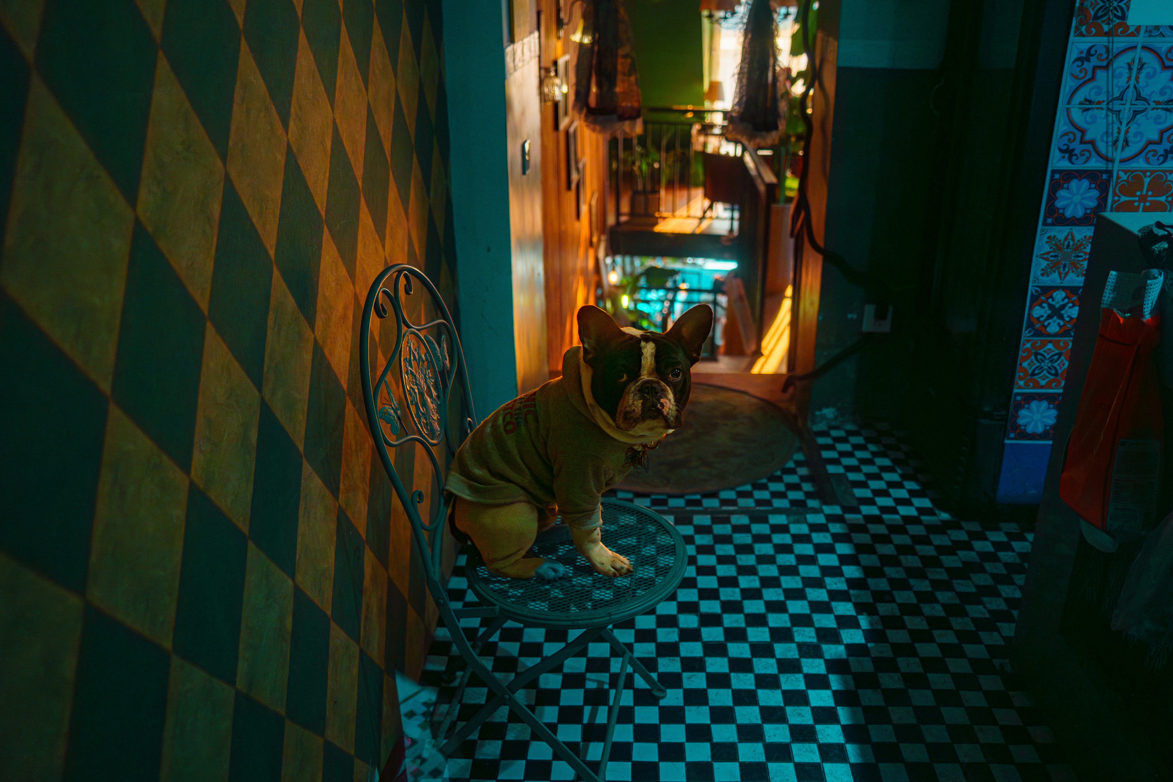 Photo by Ahab Sun with Sony Alpha 7 IV