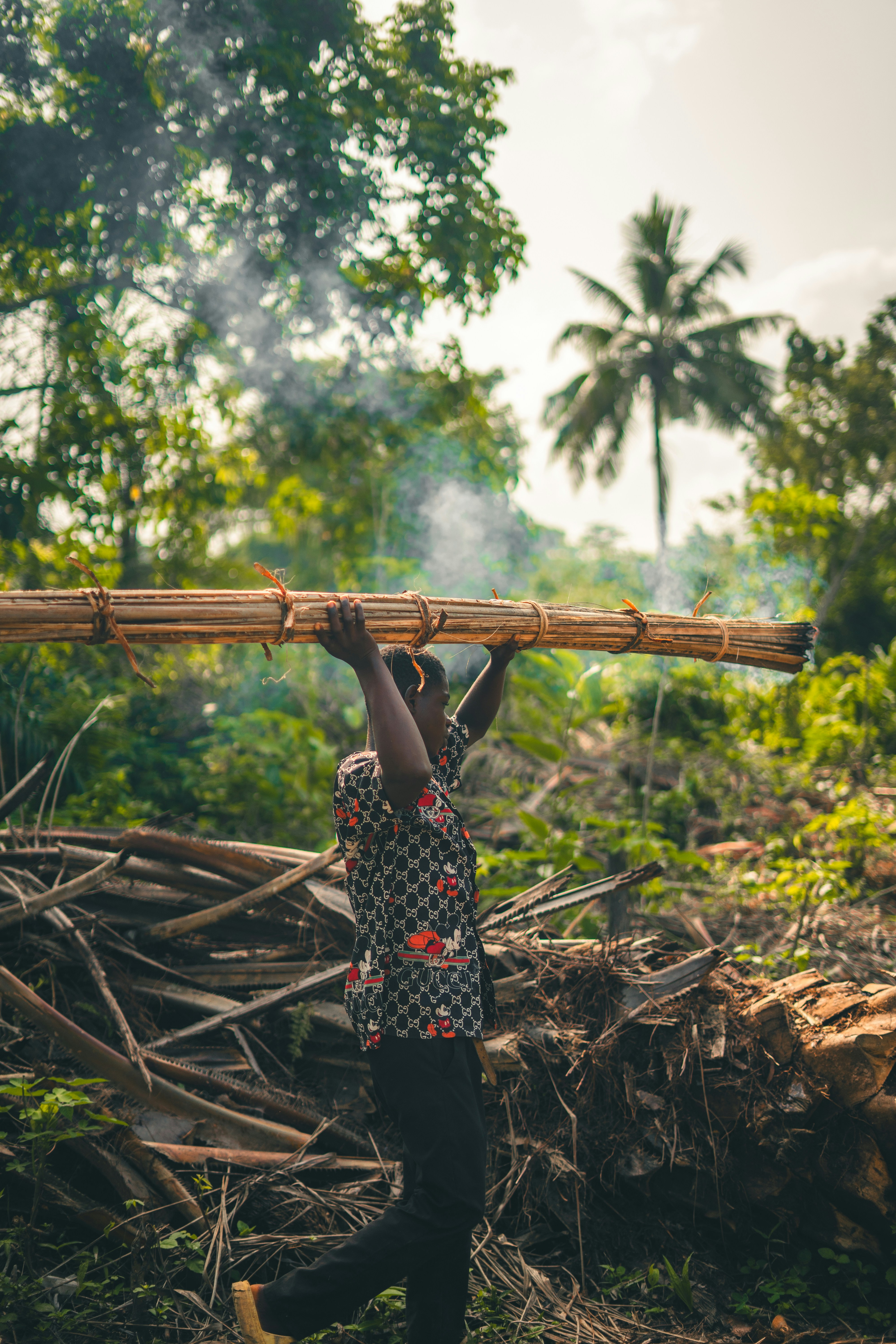 A man carrying a bamboo stick across a forest photo – Free Ghana Image ...