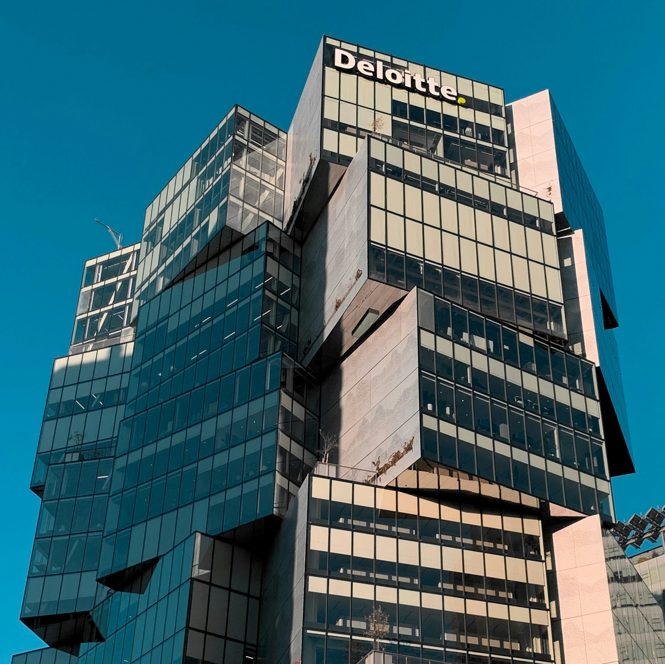 Photo by Nicholas Laurenzio with Apple iPhone XR