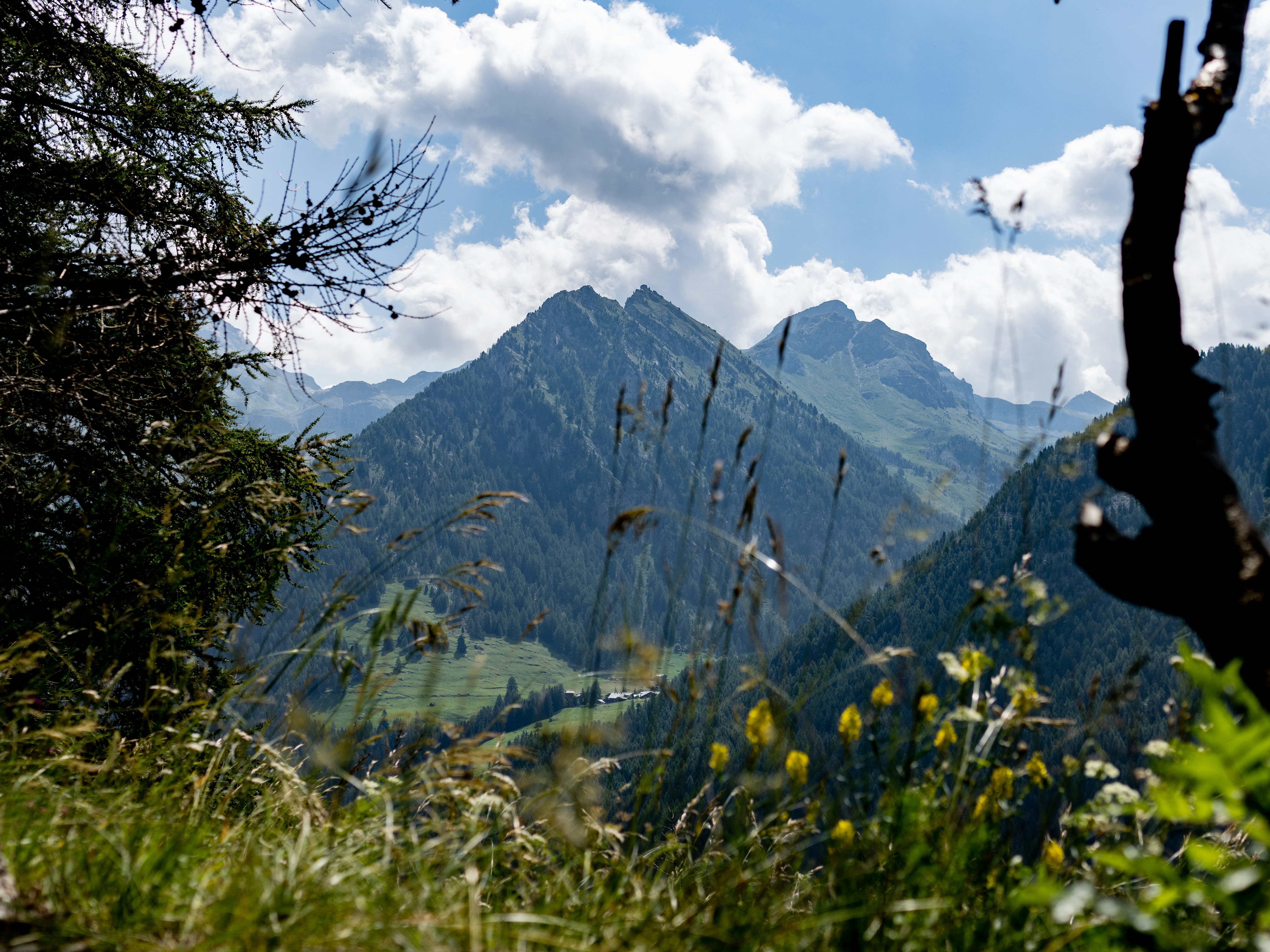 Morning Light Framing a Rugged Alpine Summit