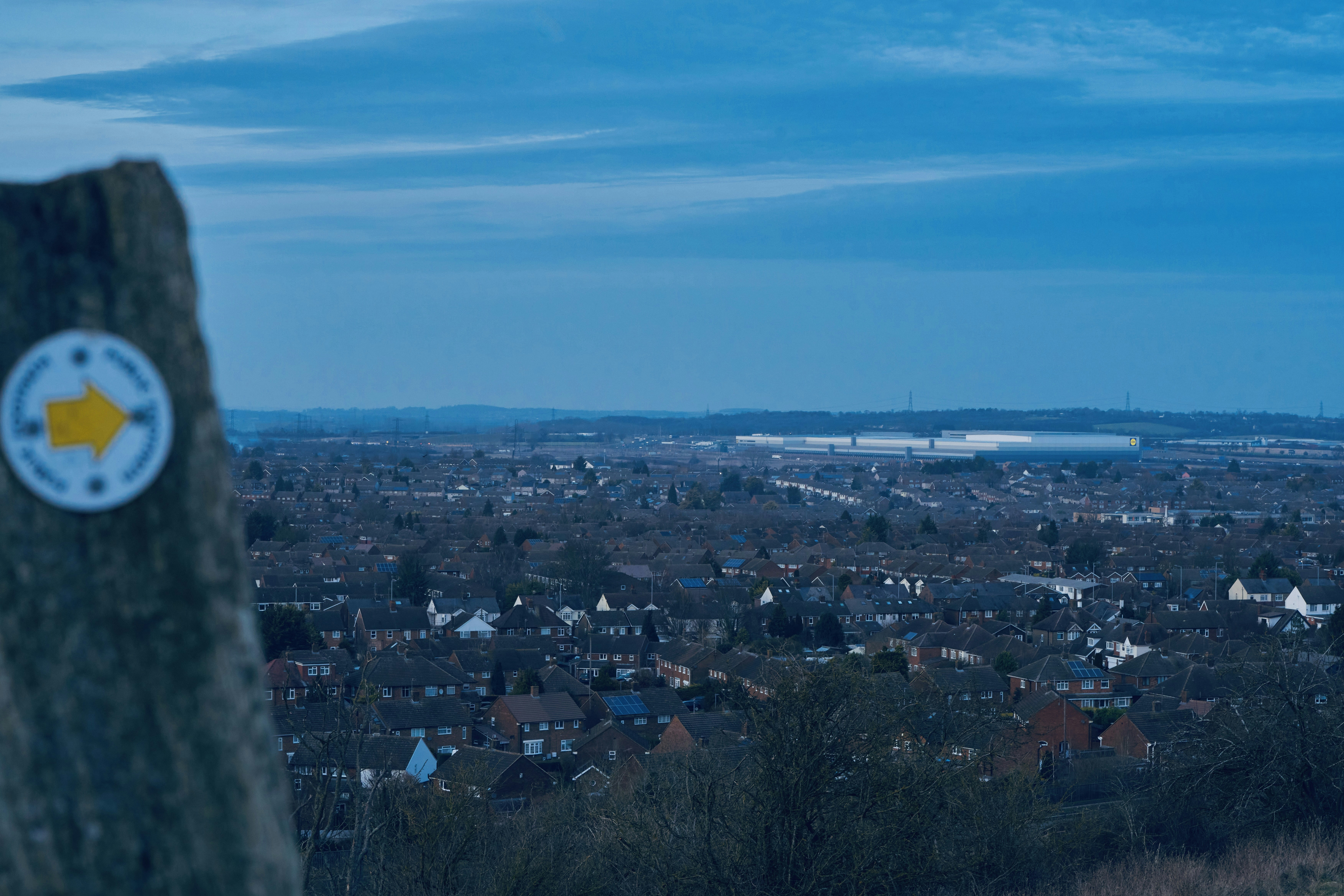 Blue Overlook: Weathered Trail Marker Framing a Suburban Panorama