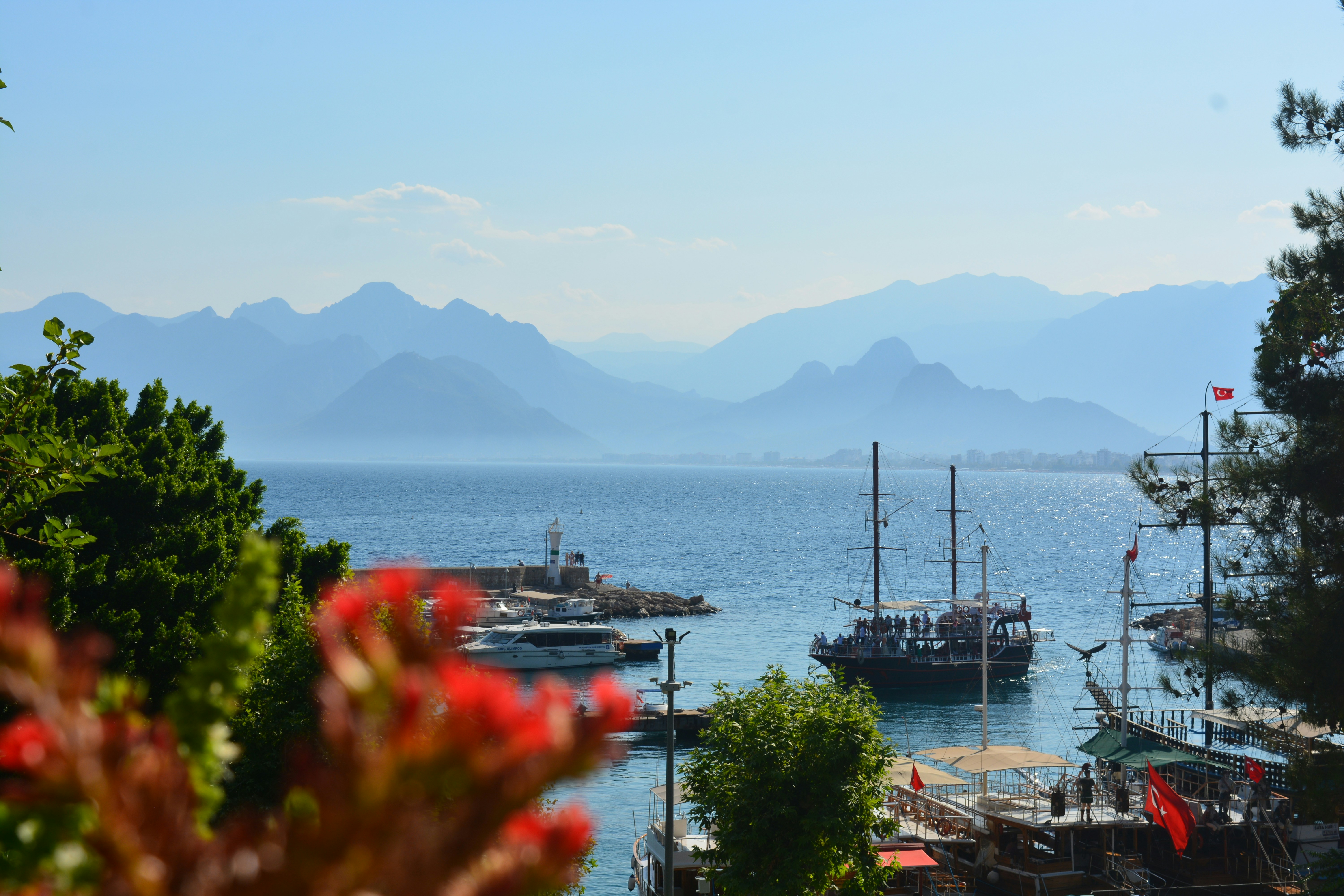 A harbor filled with lots of boats on top of water photo – Free Nature ...