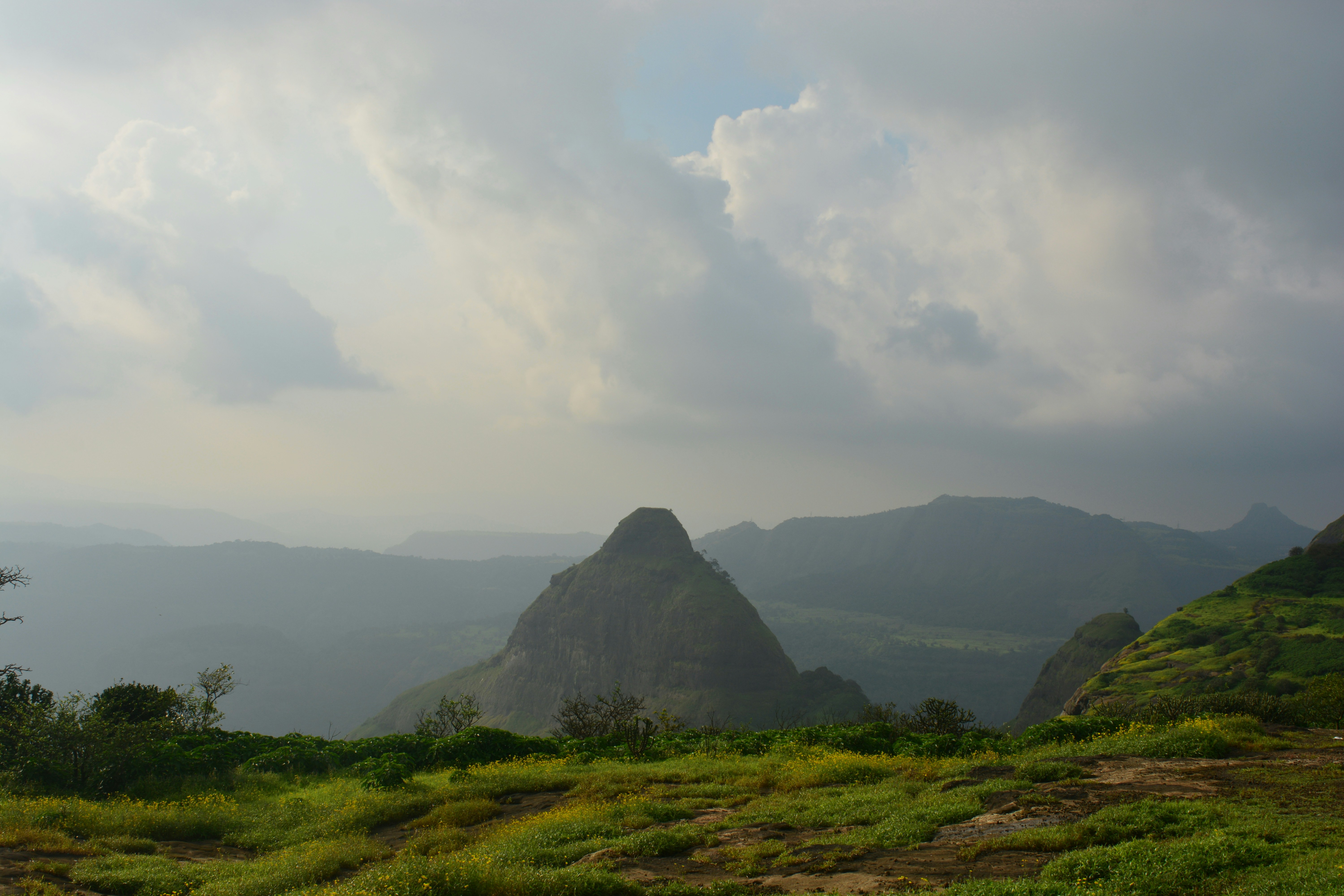 Photo by Rimjhim Agrawal with Nikon D5200