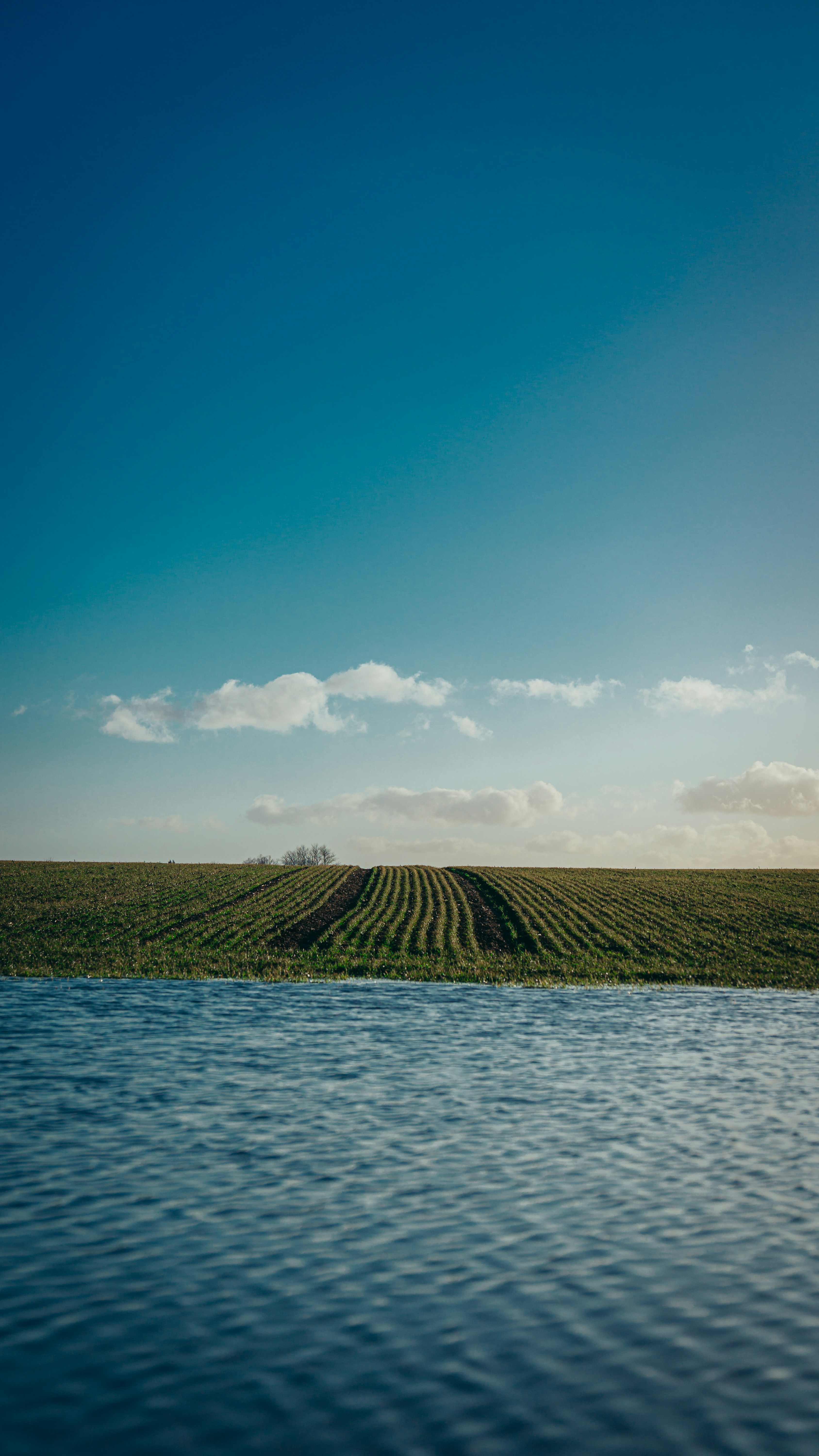 Convergence at the Quiet Horizon: River, Furrows, and Blue Sky
