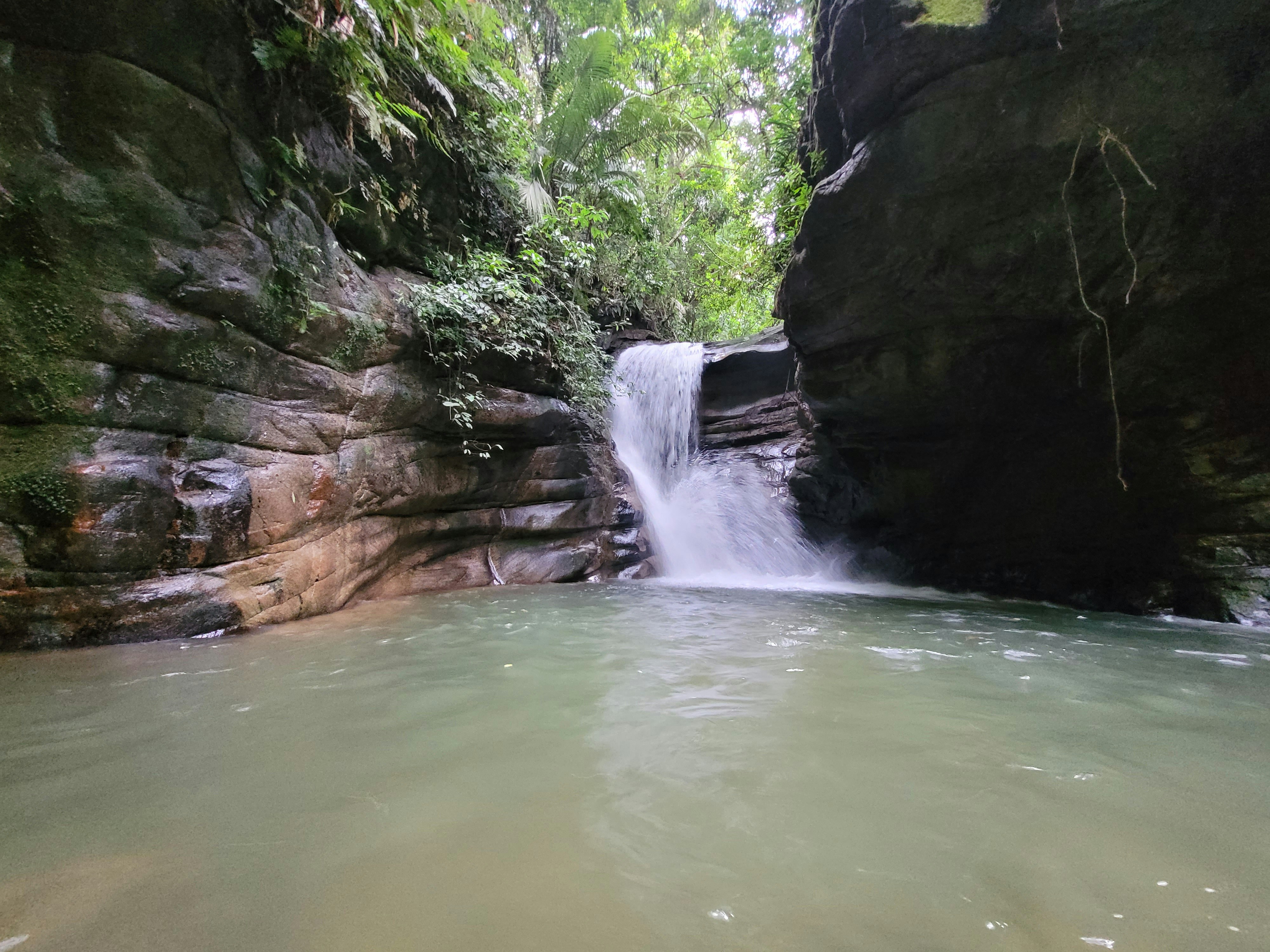 Small waterfall flowing into a serene pool surrounded by dense greenery and rocky formations.
