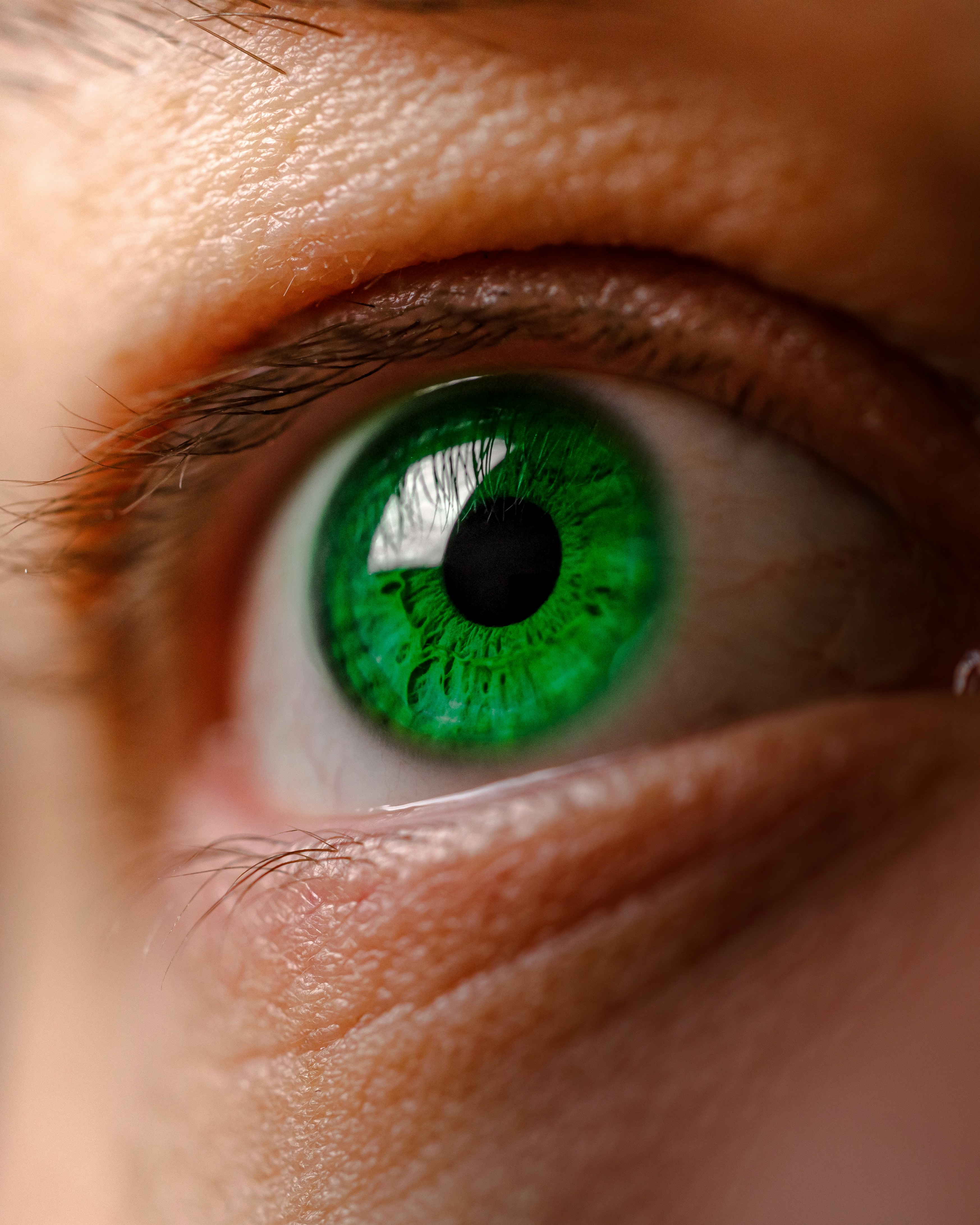 Eye close up - macro photo