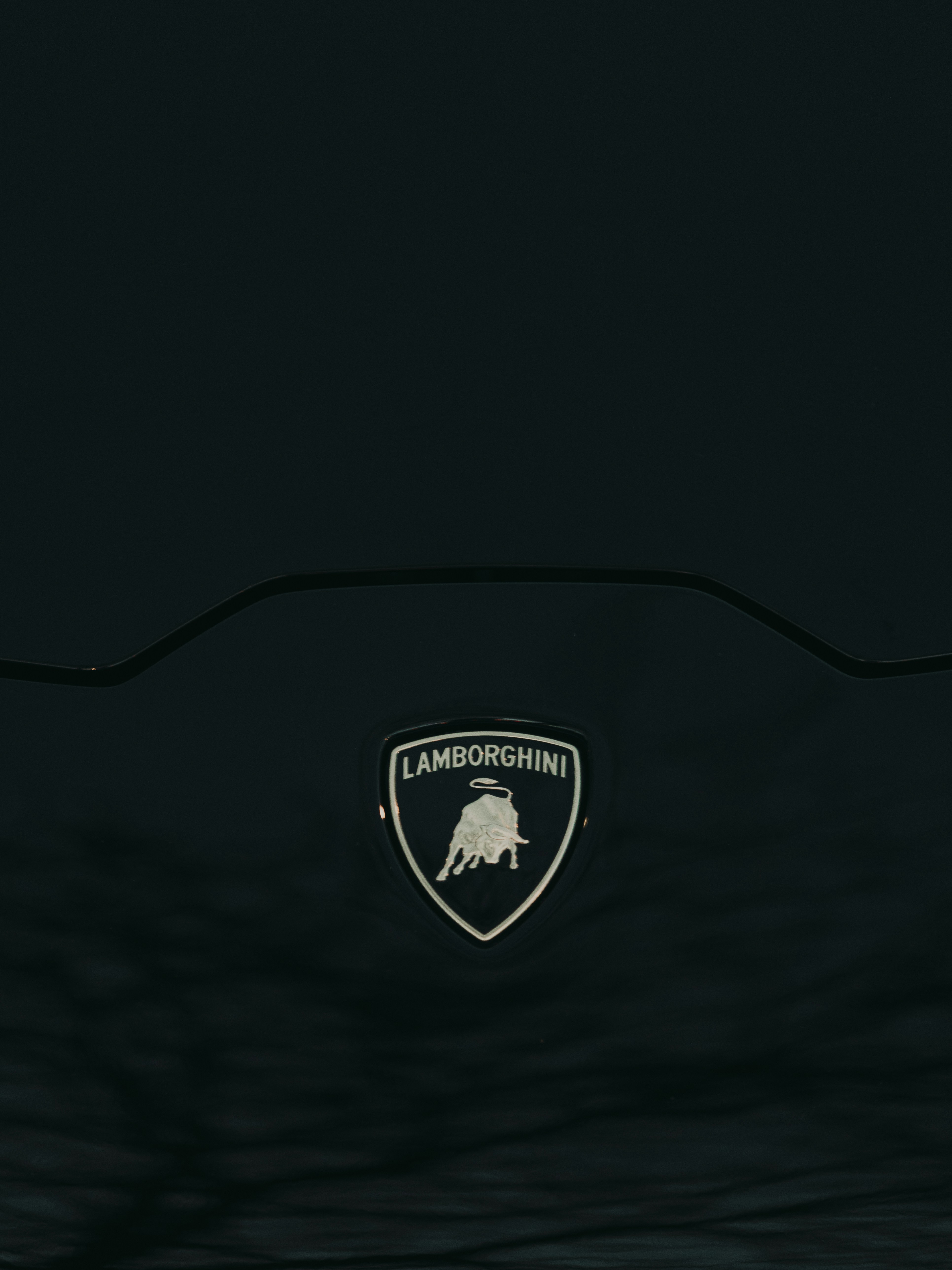 Photo by Nikolai Lehmann with Canon EOS R