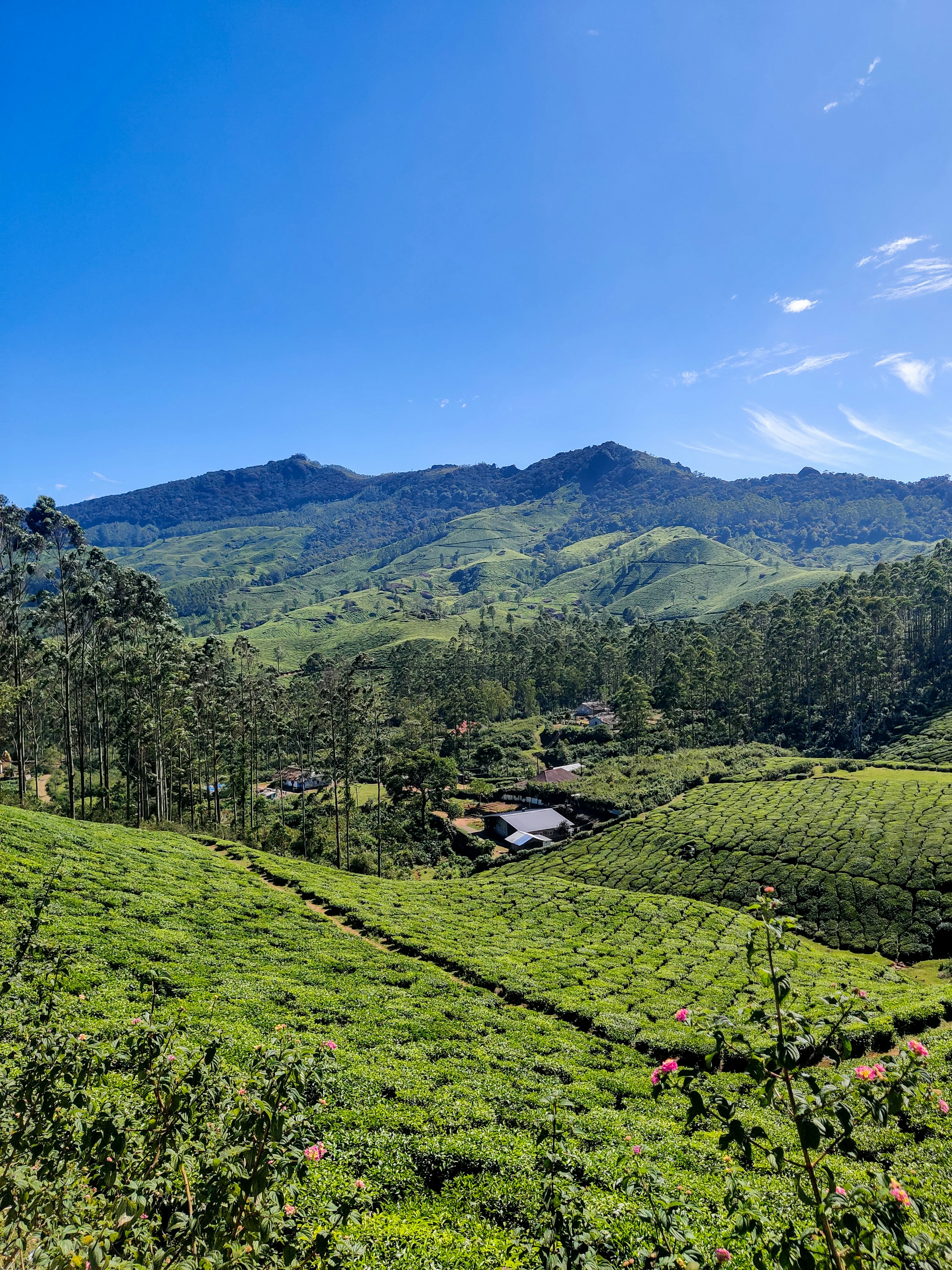 Photo by Meghna Rawat with OnePlus 7