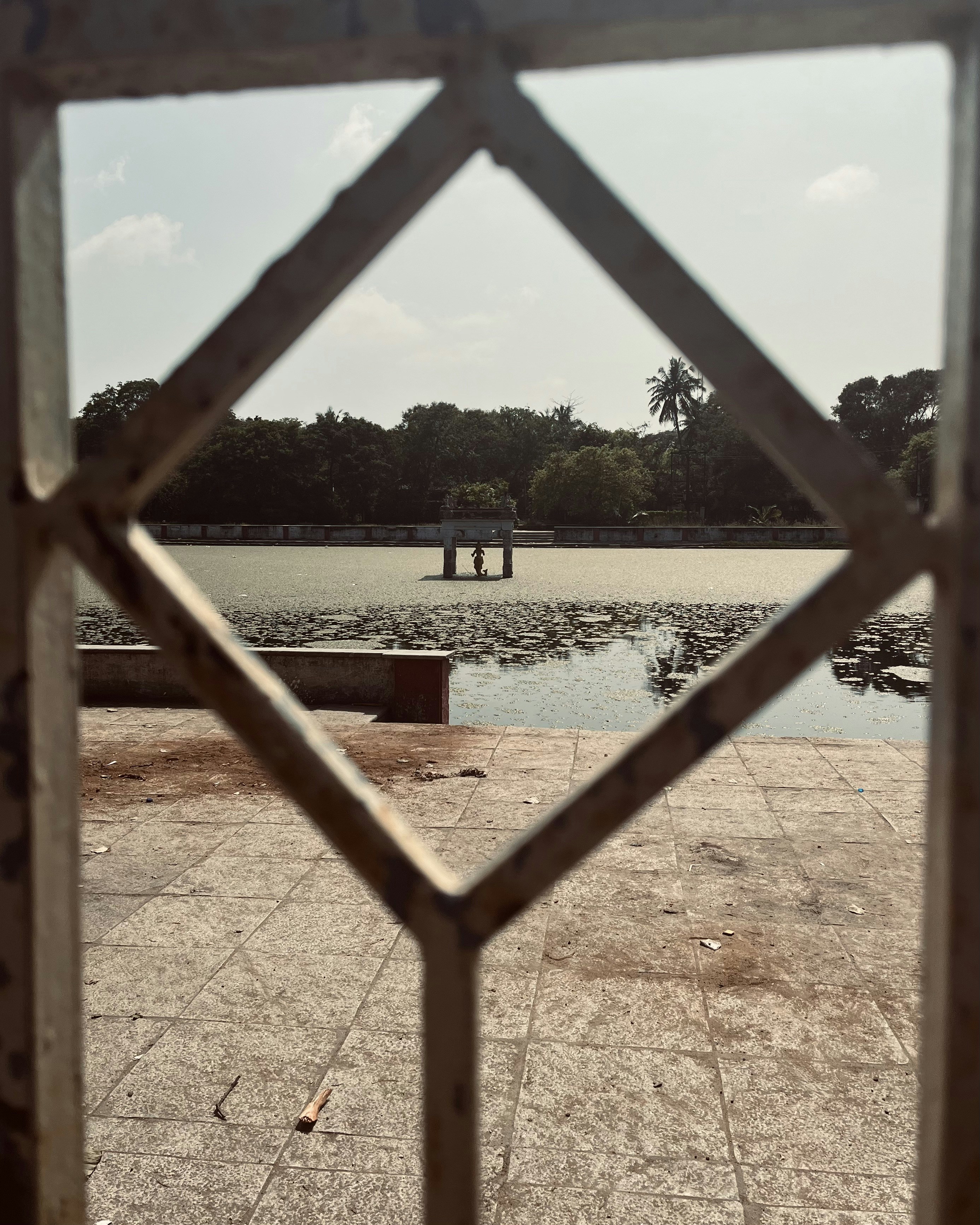 Geometric Frame Over Lakeside Garden