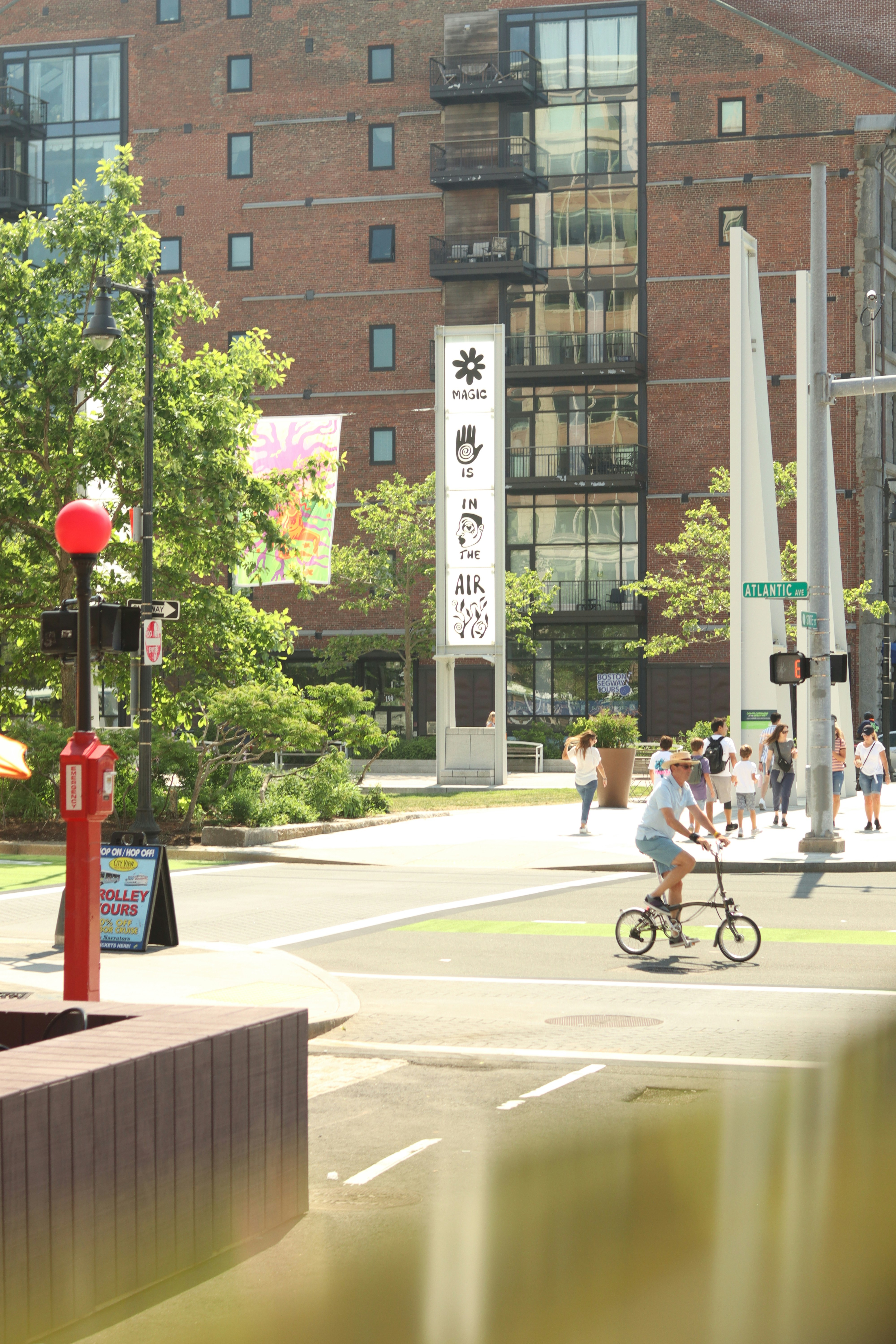 Sunlit Crosswalk: A Bicycle Moment Beneath a Music Banner